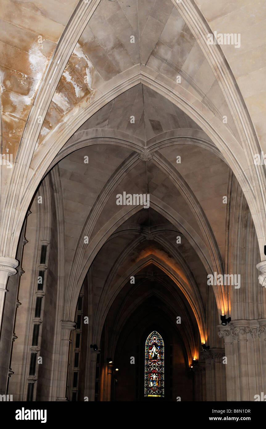 Vaulted ceiling detail inside interior Cathedral of the Holy Trinity ...