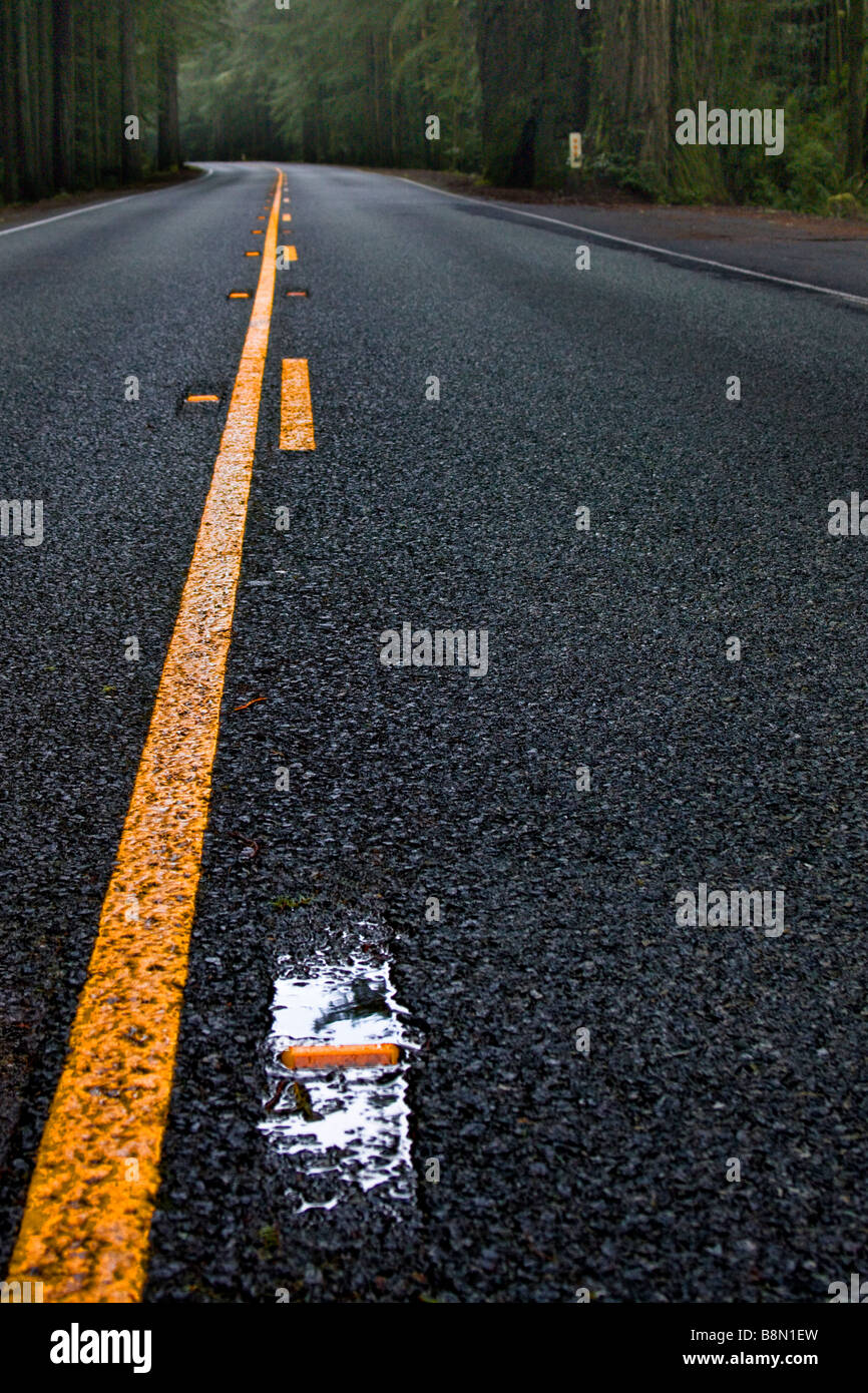 Centerline hi-res stock photography and images - Alamy