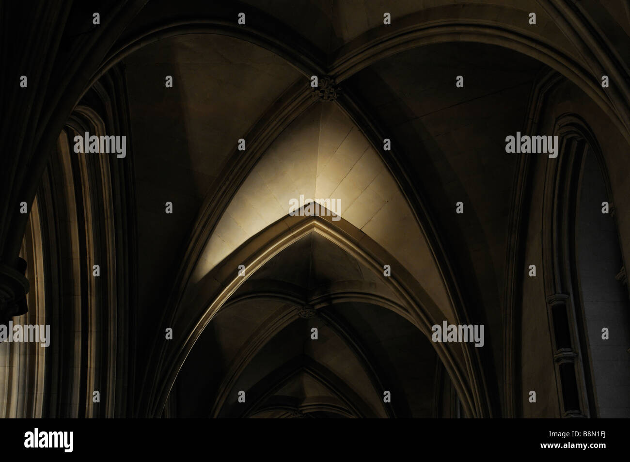 Vaulted ceiling detail inside interior Cathedral of the Holy Trinity ...