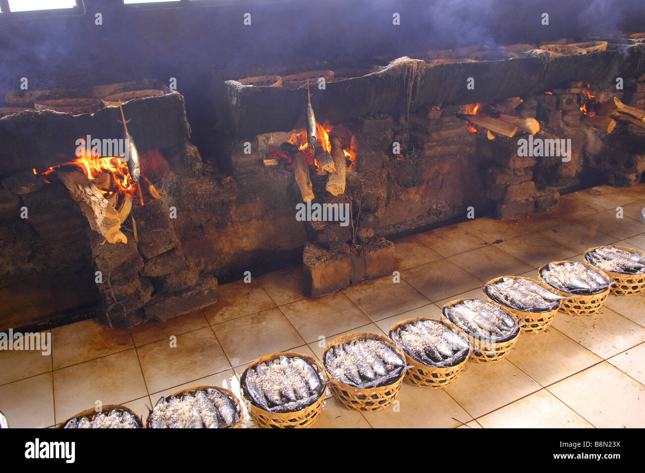 Boiled Tuna fish industry,Bali,Indonesia Stock Photo - Alamy