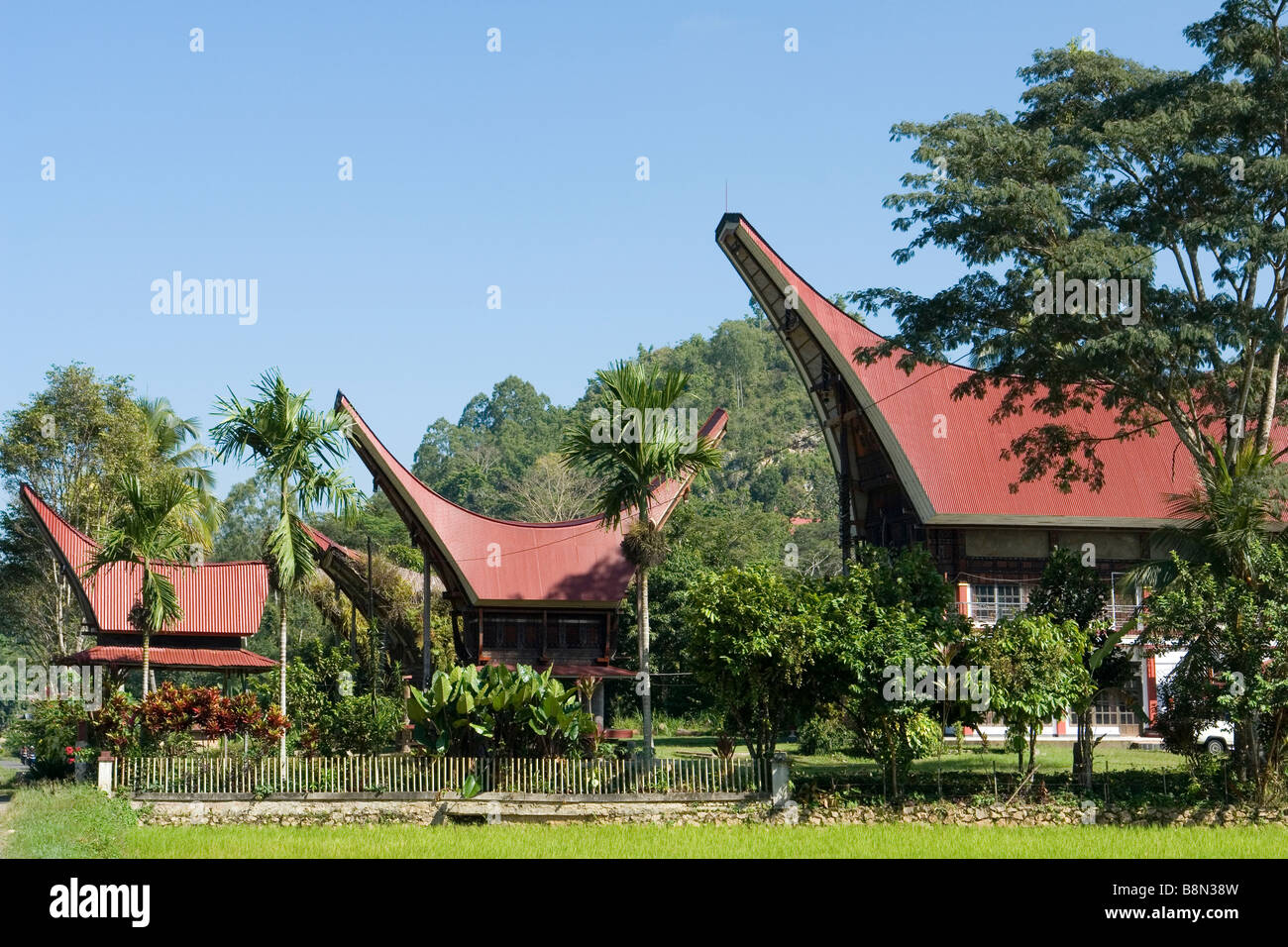 Newly built Torajan houses, in Tombang (Sulawesi - Indonesia). Maisons ...