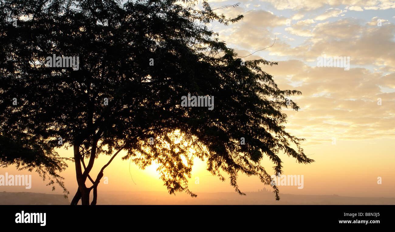 indian sunrise from the jodhpur fort Stock Photo - Alamy