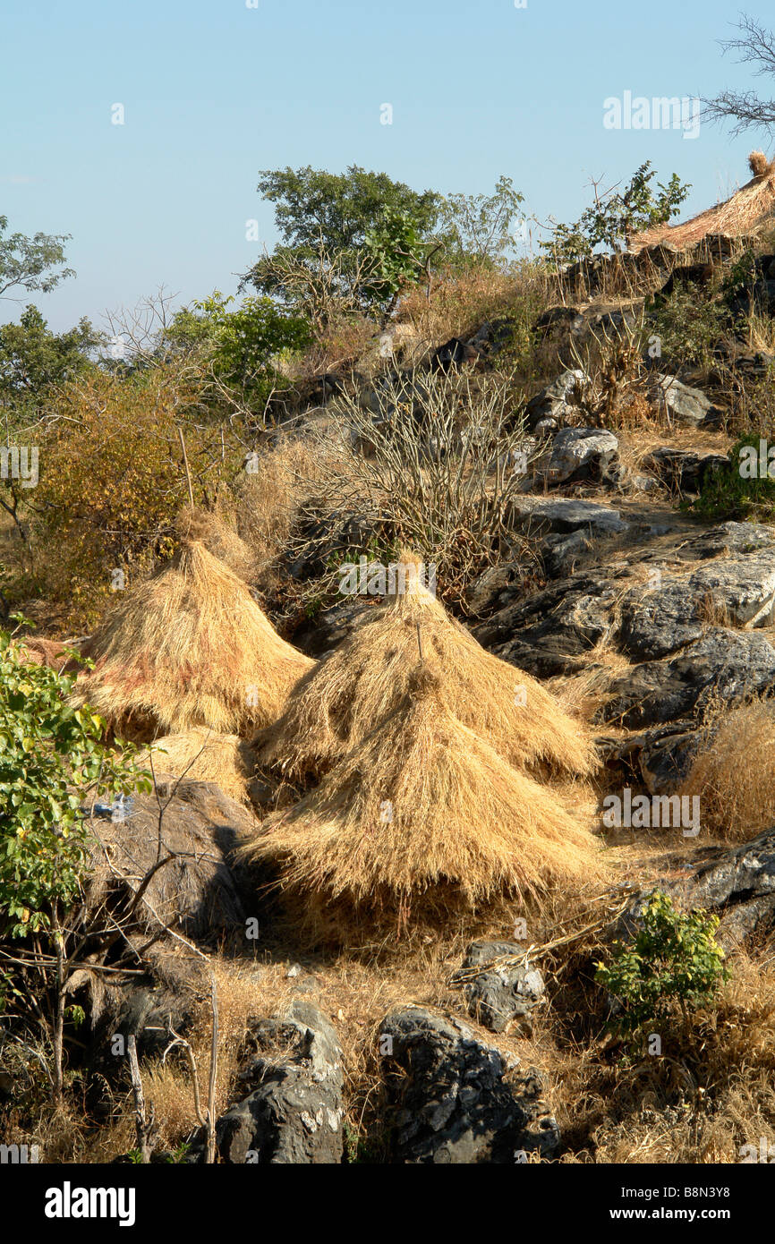 Indian hay hi-res stock photography and images - Alamy