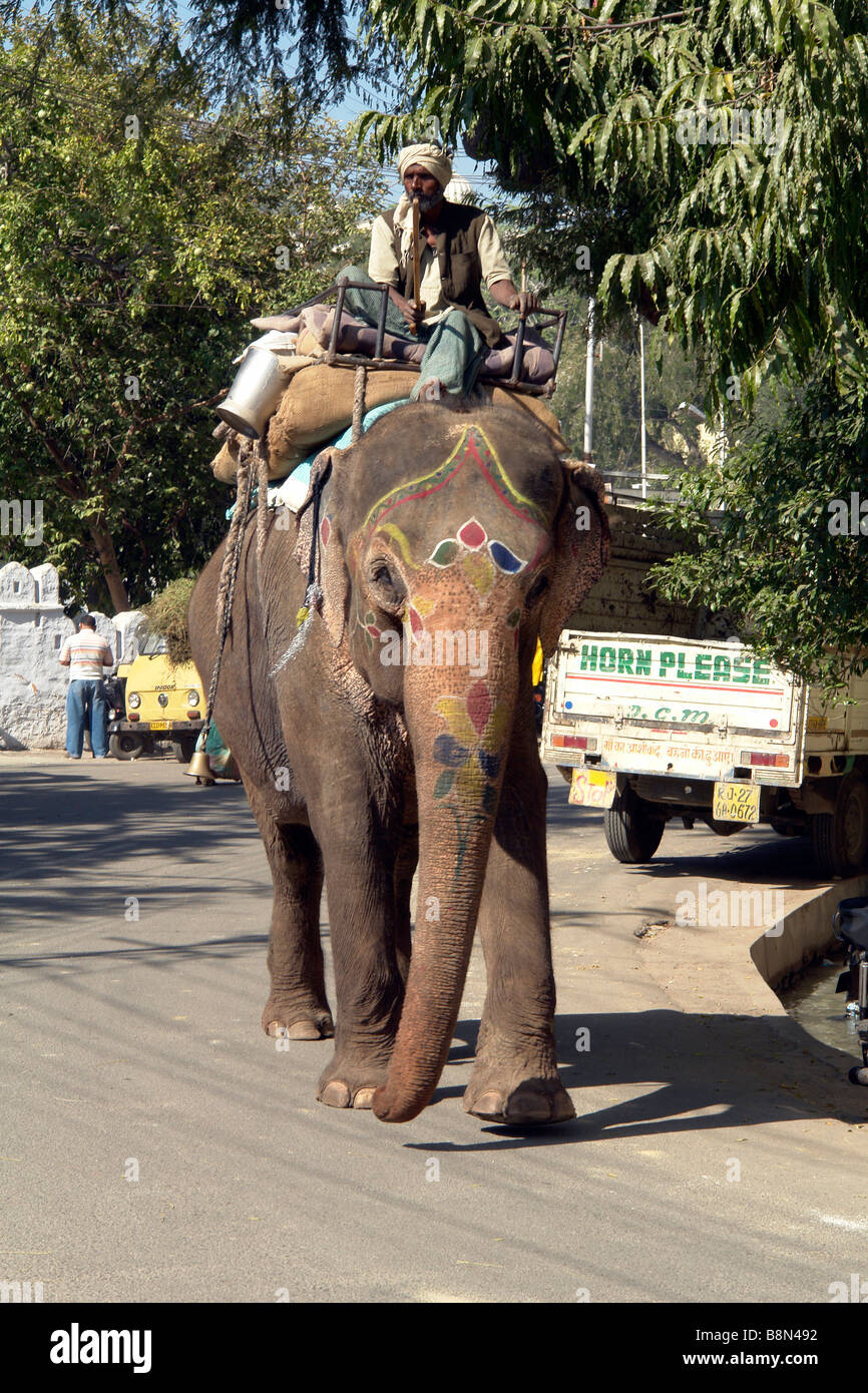 Elephant rider hi-res stock photography and images - Alamy