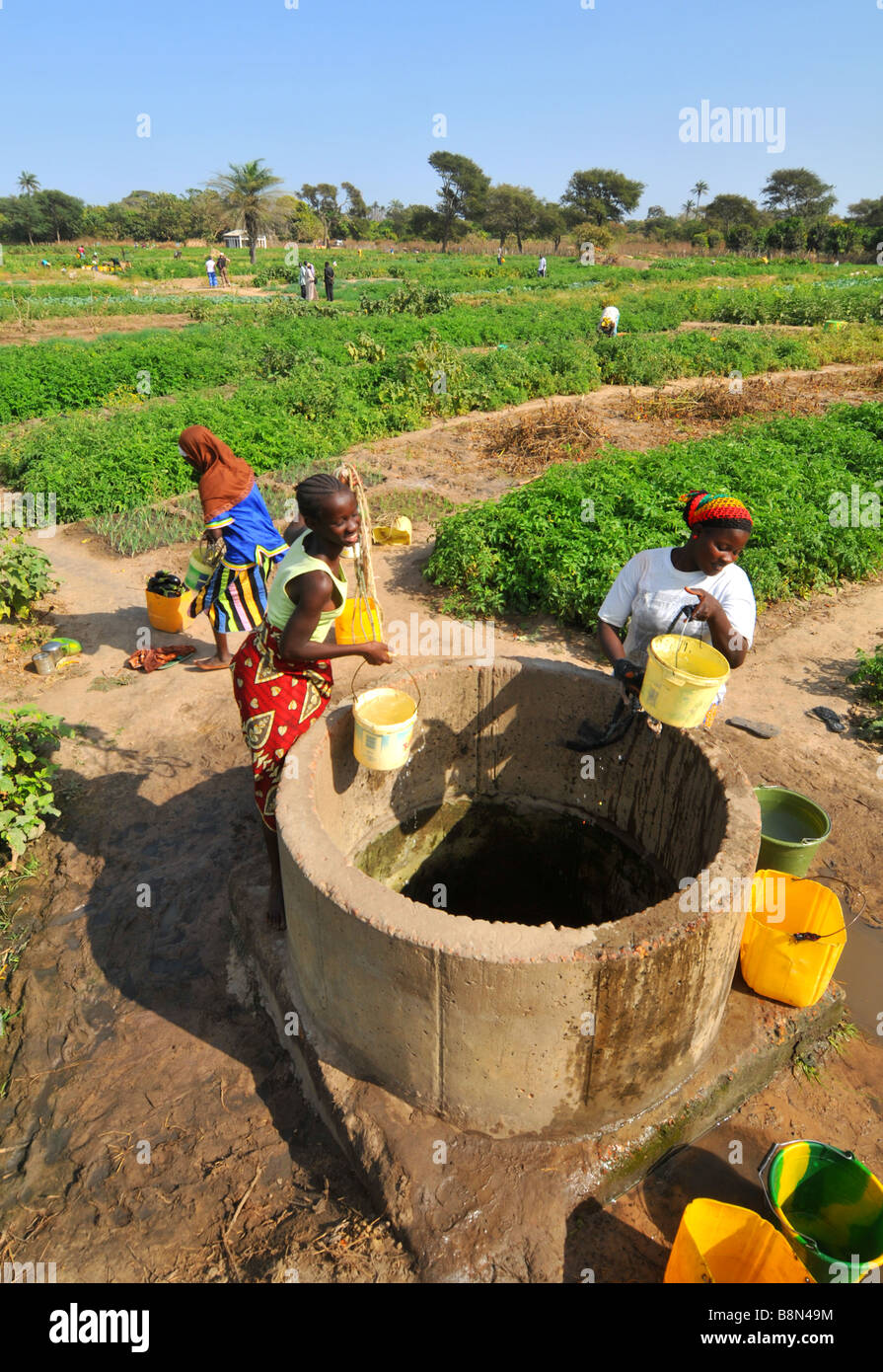 Women collect water from a well to water their crops in The Gambia ...