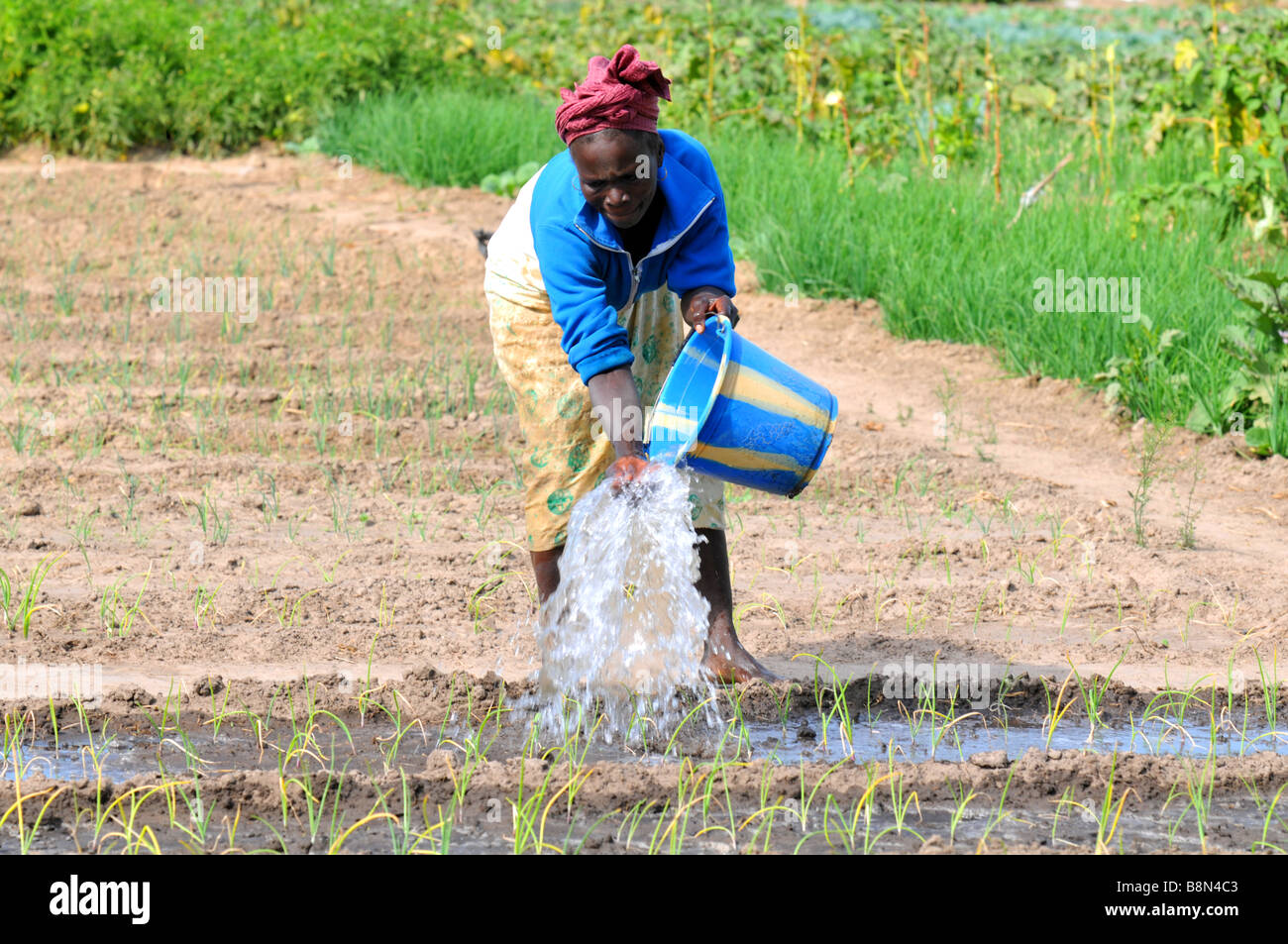 Watering crops hi-res stock photography and images - Alamy
