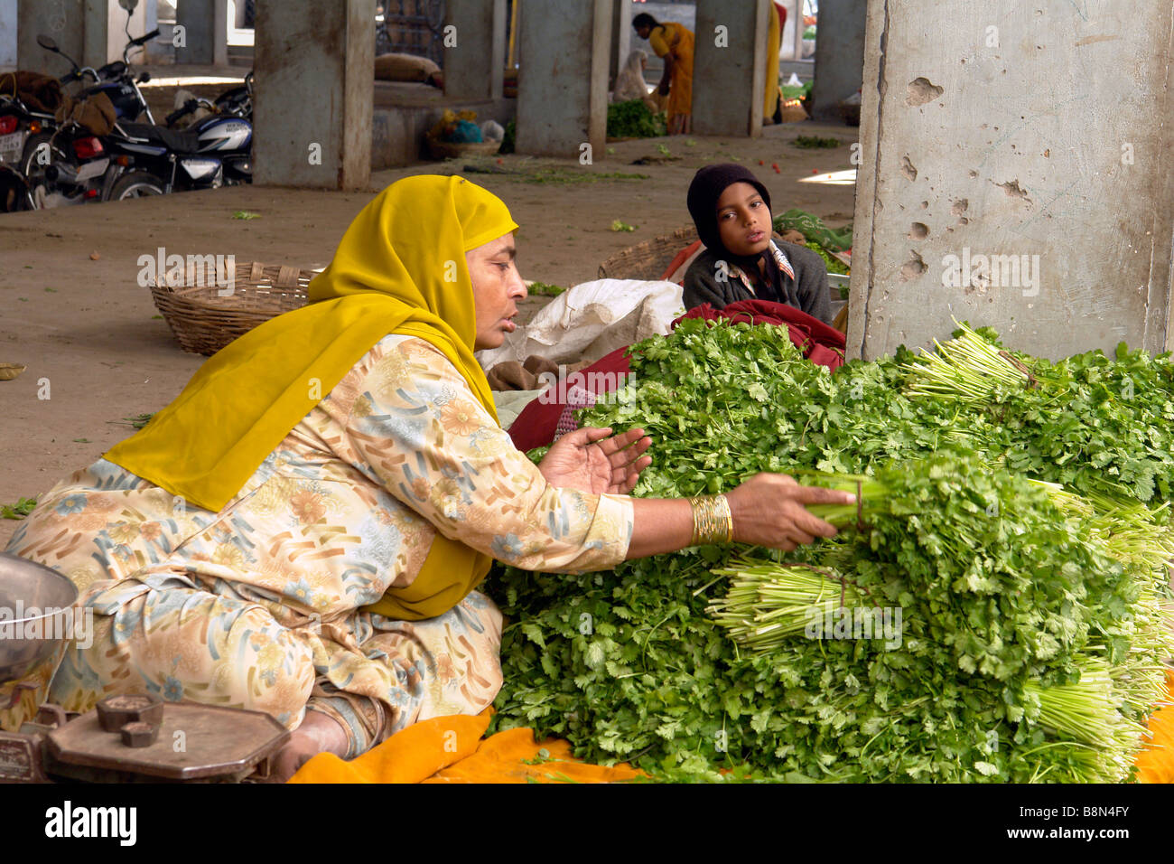 indian woman in traditional dress selling vegetables in the market ...