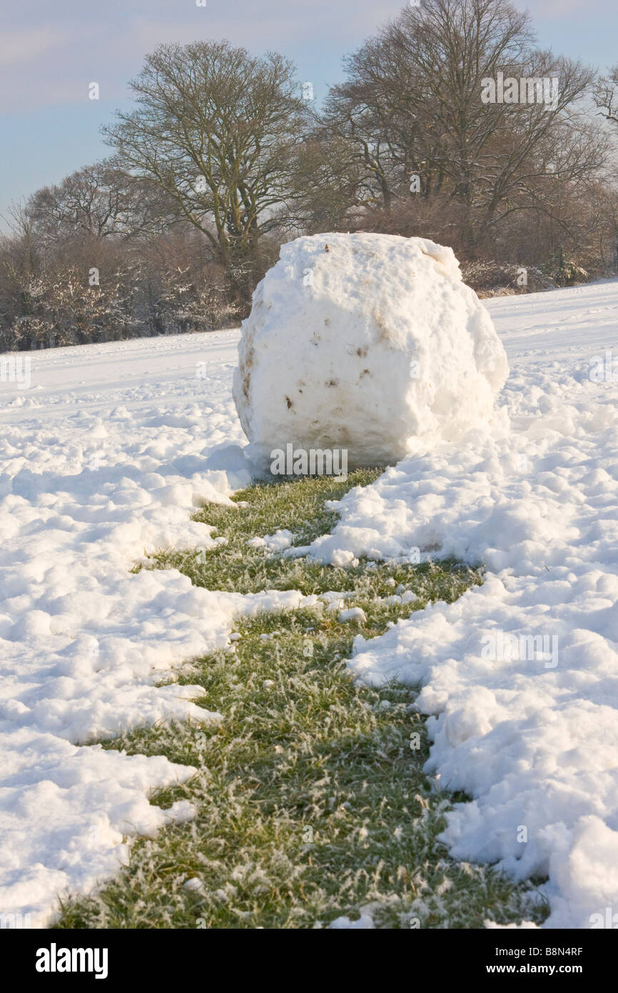 Large snowball in field of snow Stock Photo - Alamy