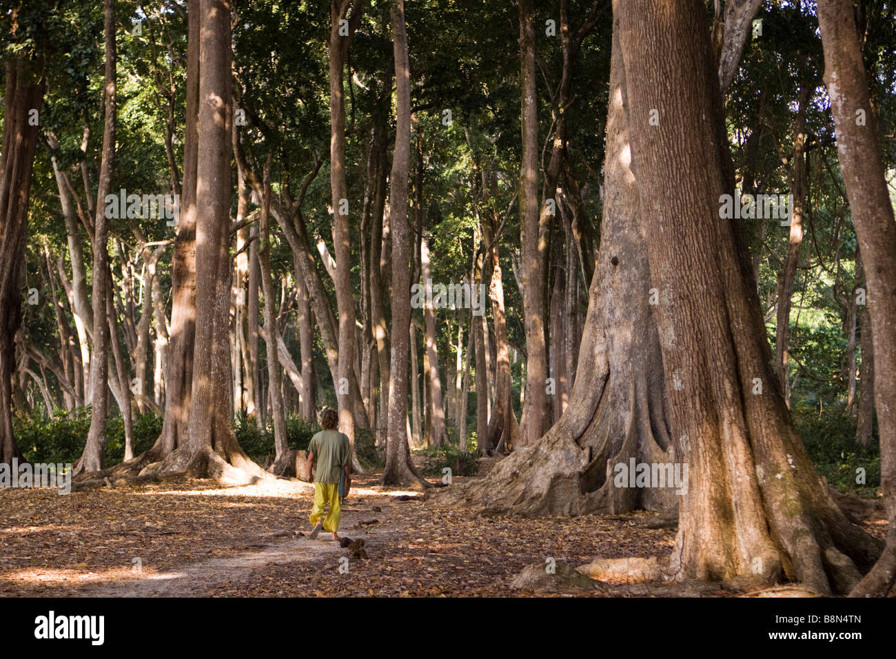 India Andaman and Nicobar Havelock island Radha Nagar woman walking ...