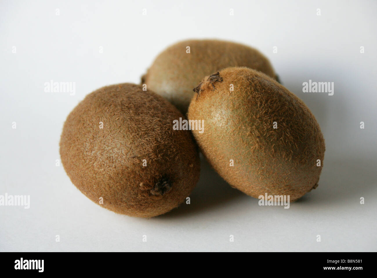 Three Kiwi Fruit or Chinese Gooseberries, Actinidia deliciosa Stock ...