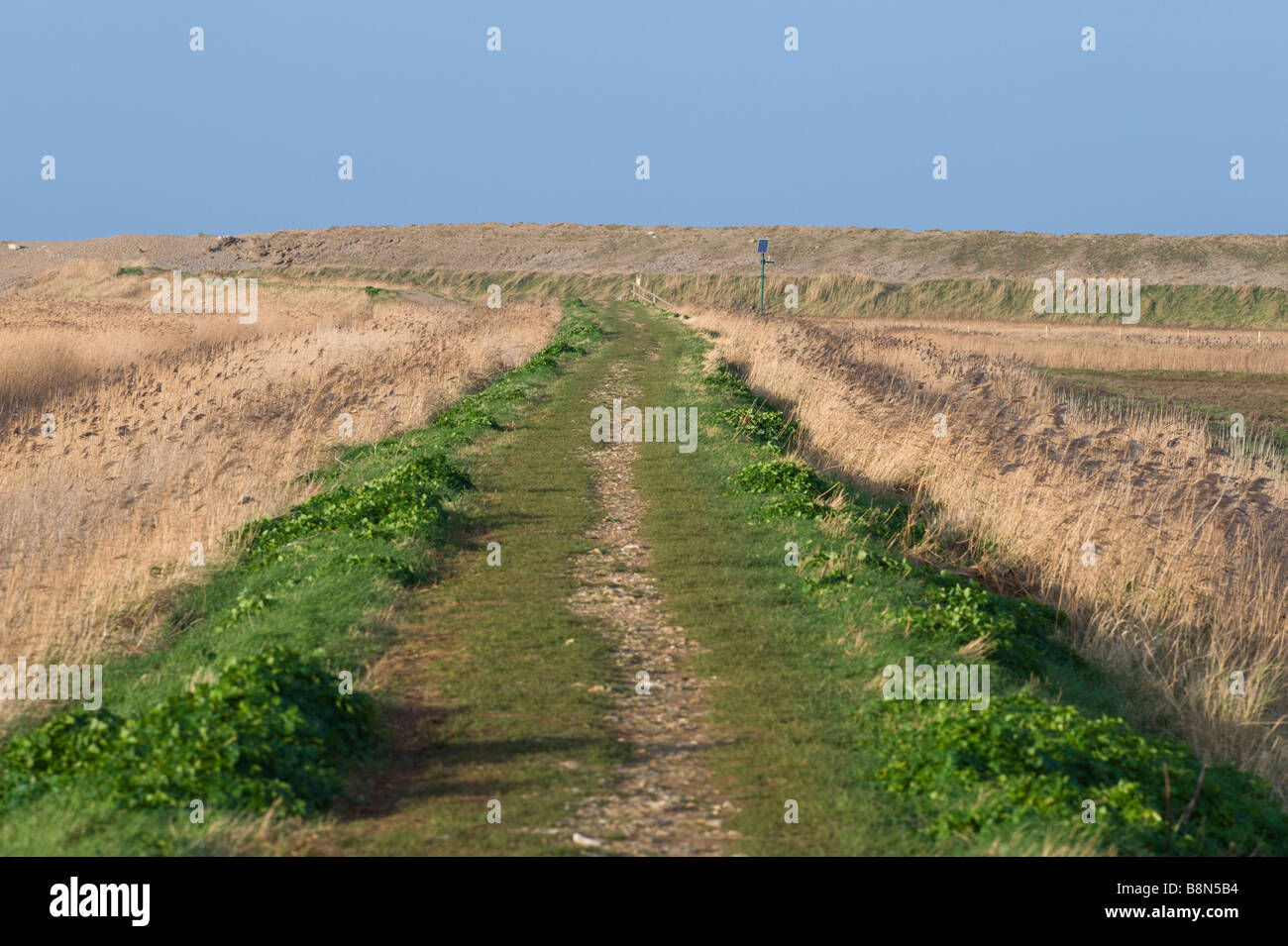 East Bank Cley Norfolk winter Stock Photo - Alamy