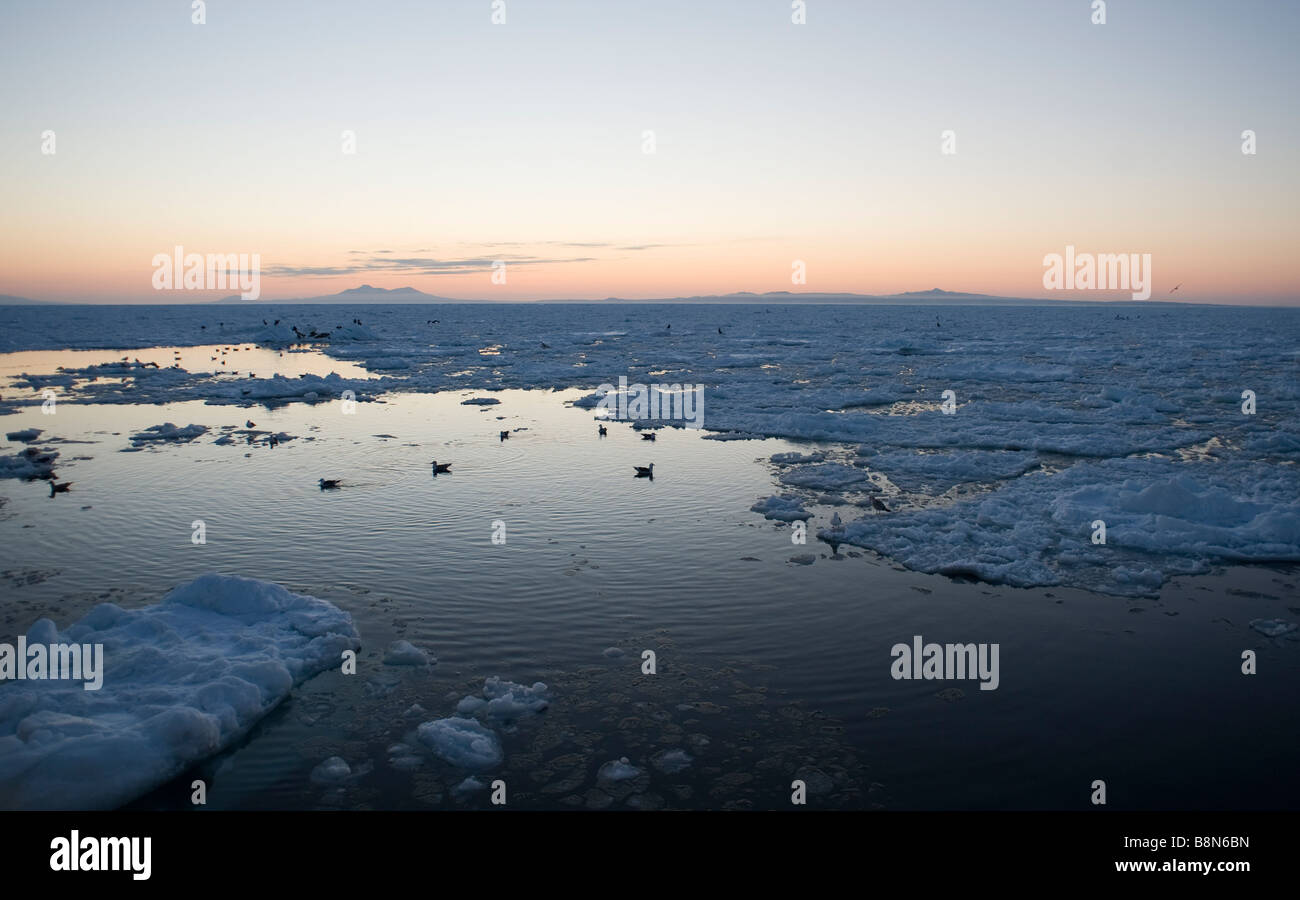 Kuril islands hi-res stock photography and images - Alamy