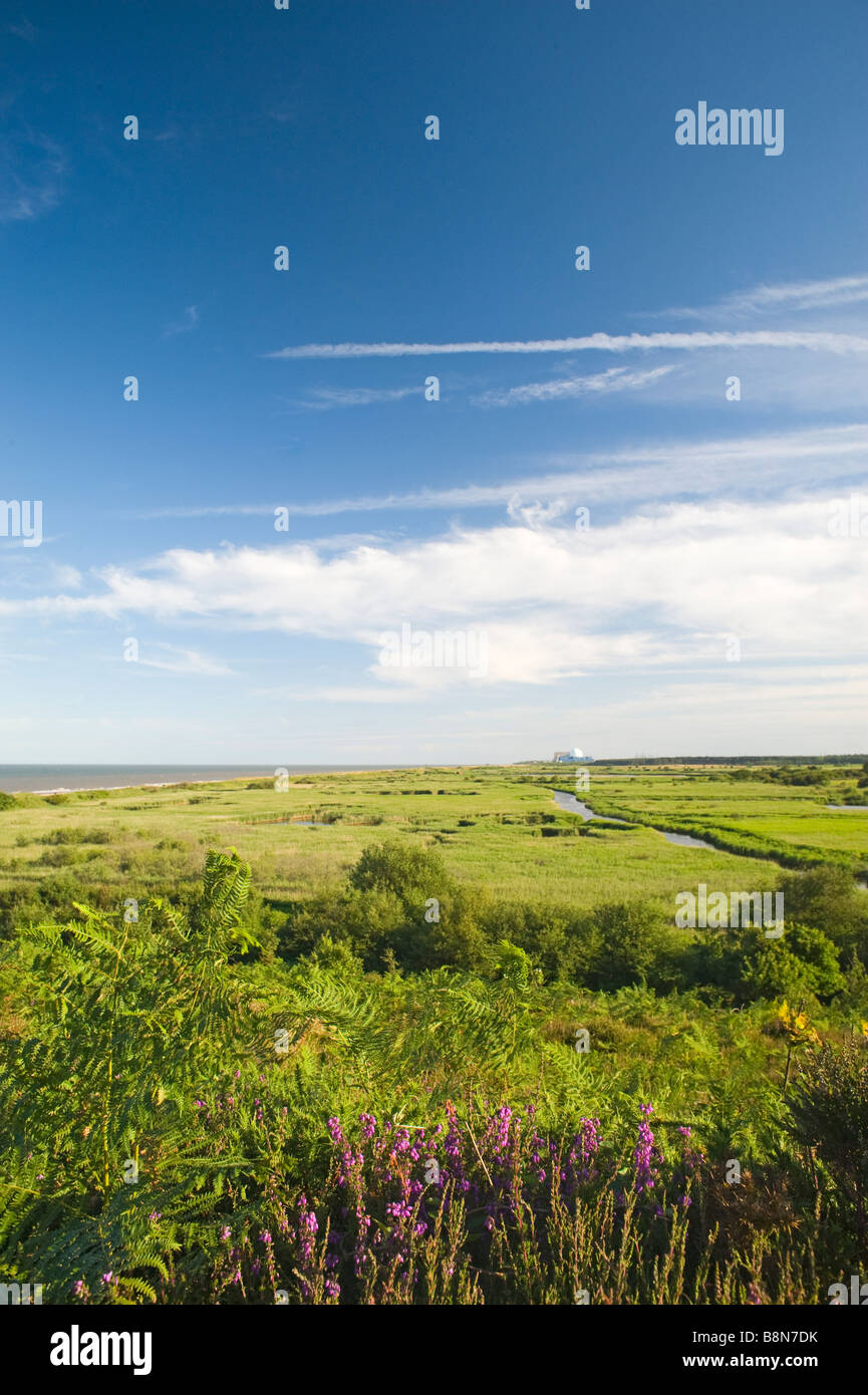 Minsmere Reserve High Resolution Stock Photography and Images - Alamy