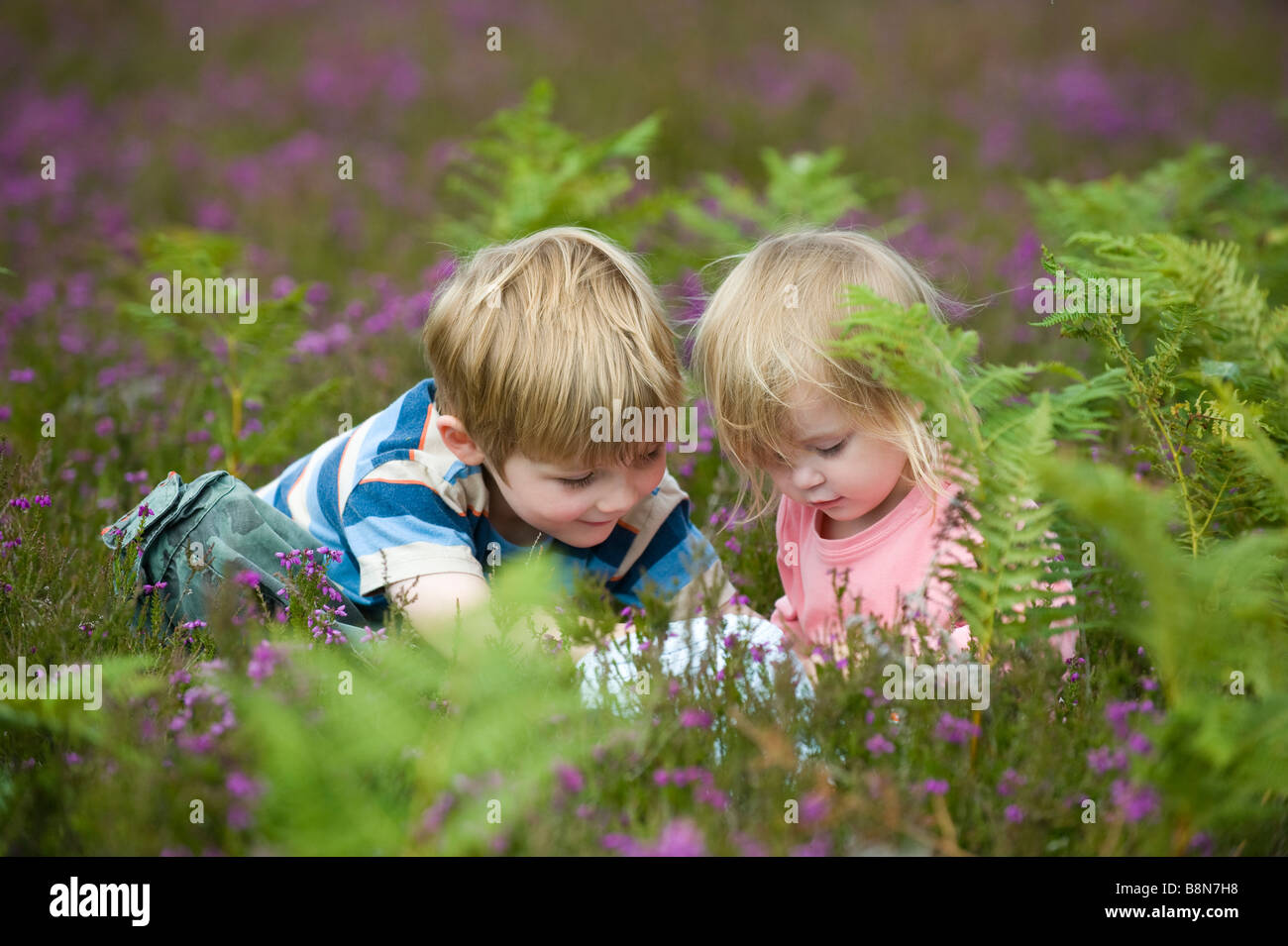 Young boy looking for insects hi-res stock photography and images - Alamy