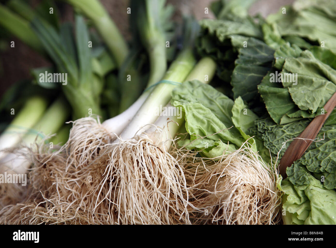 Roots of vegetables hi-res stock photography and images - Alamy