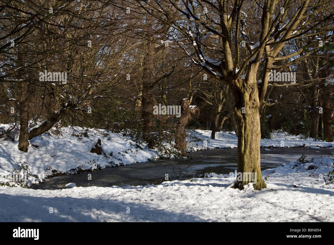 Frozen pond in the forest in winter hi-res stock photography and images ...