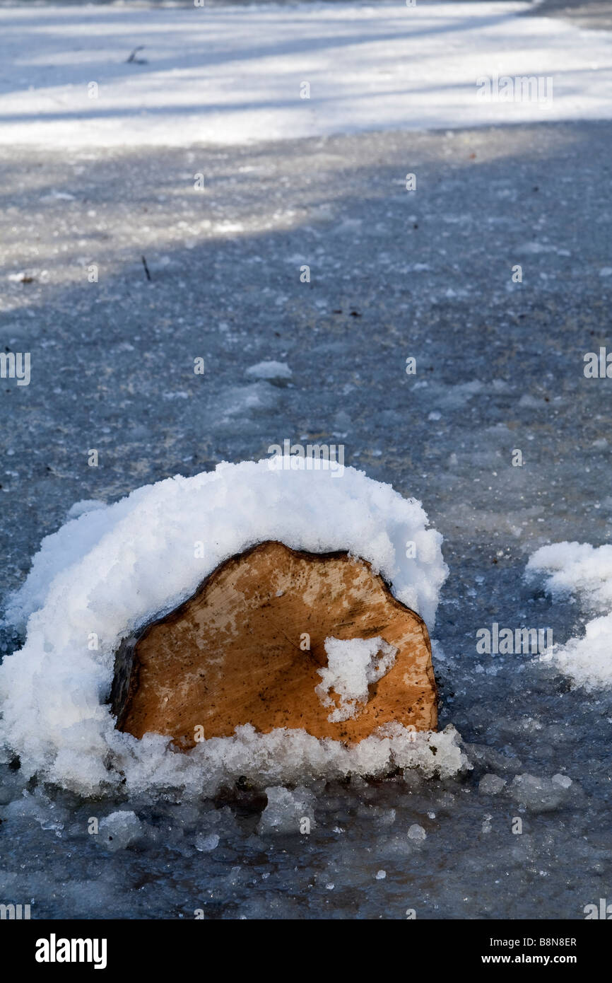 Frozen log hi-res stock photography and images - Alamy