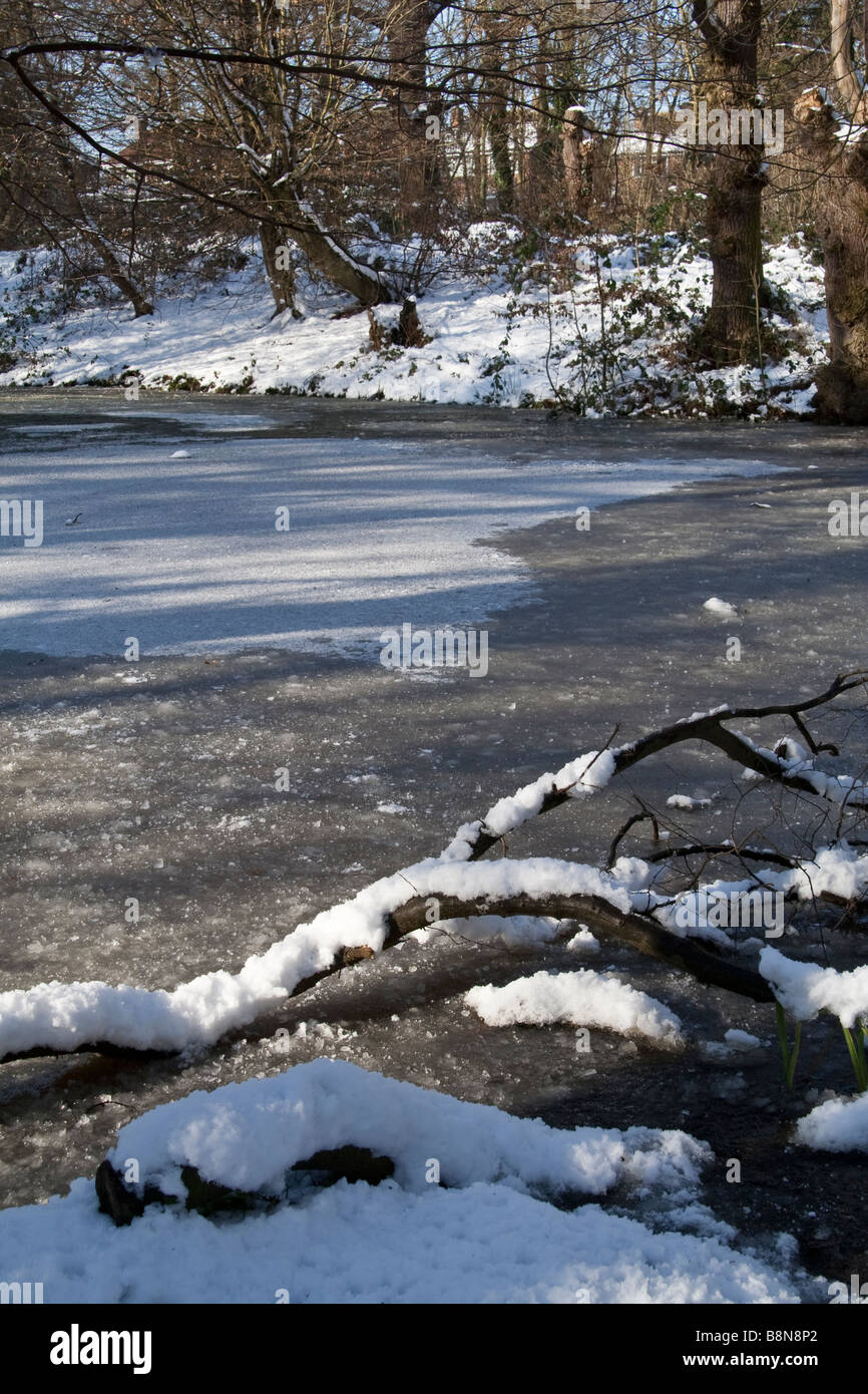 Woodland with a pond hi-res stock photography and images - Alamy