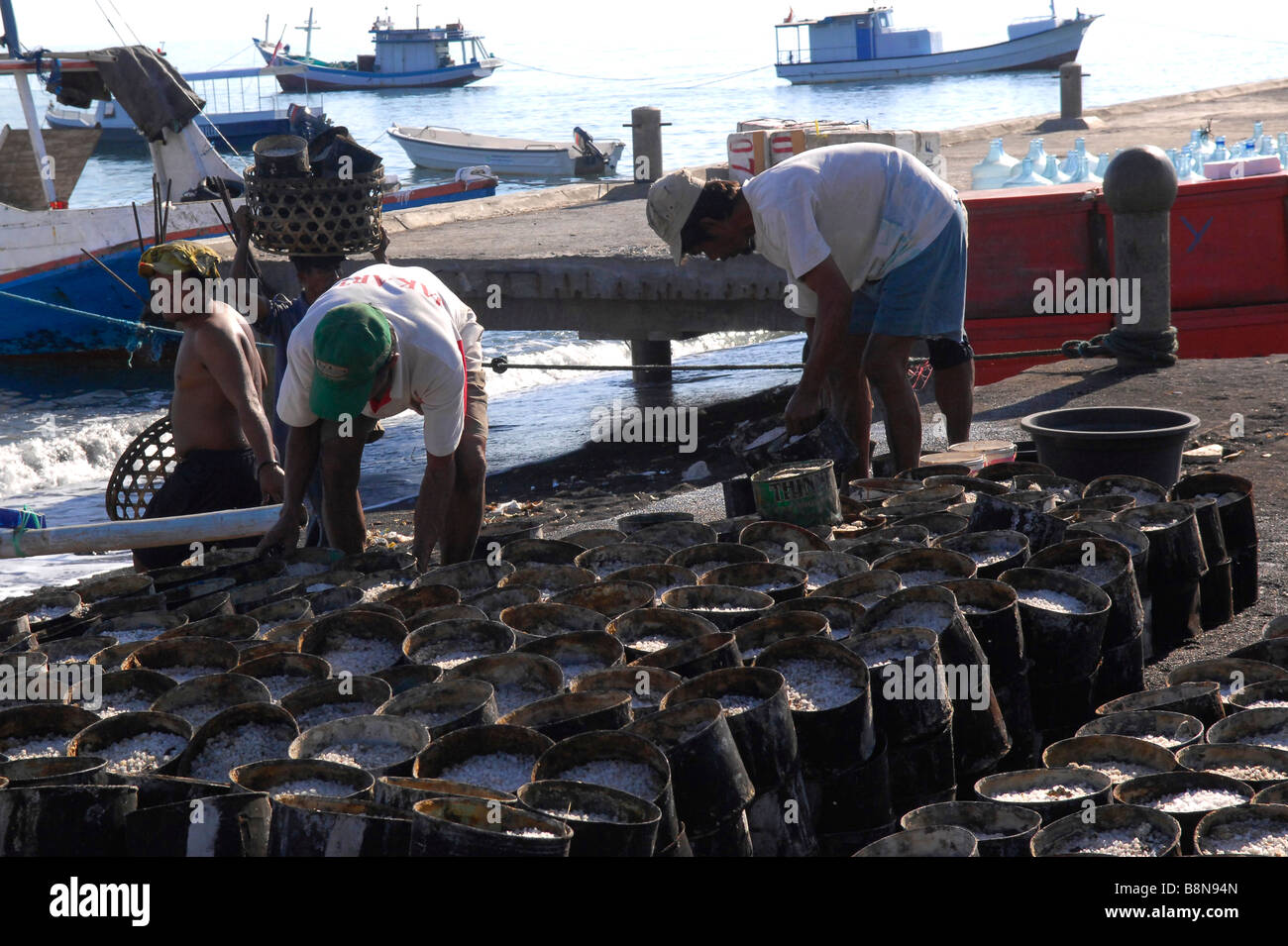 A hundred of tin contain fish with salt from the sea,northern Bali ...