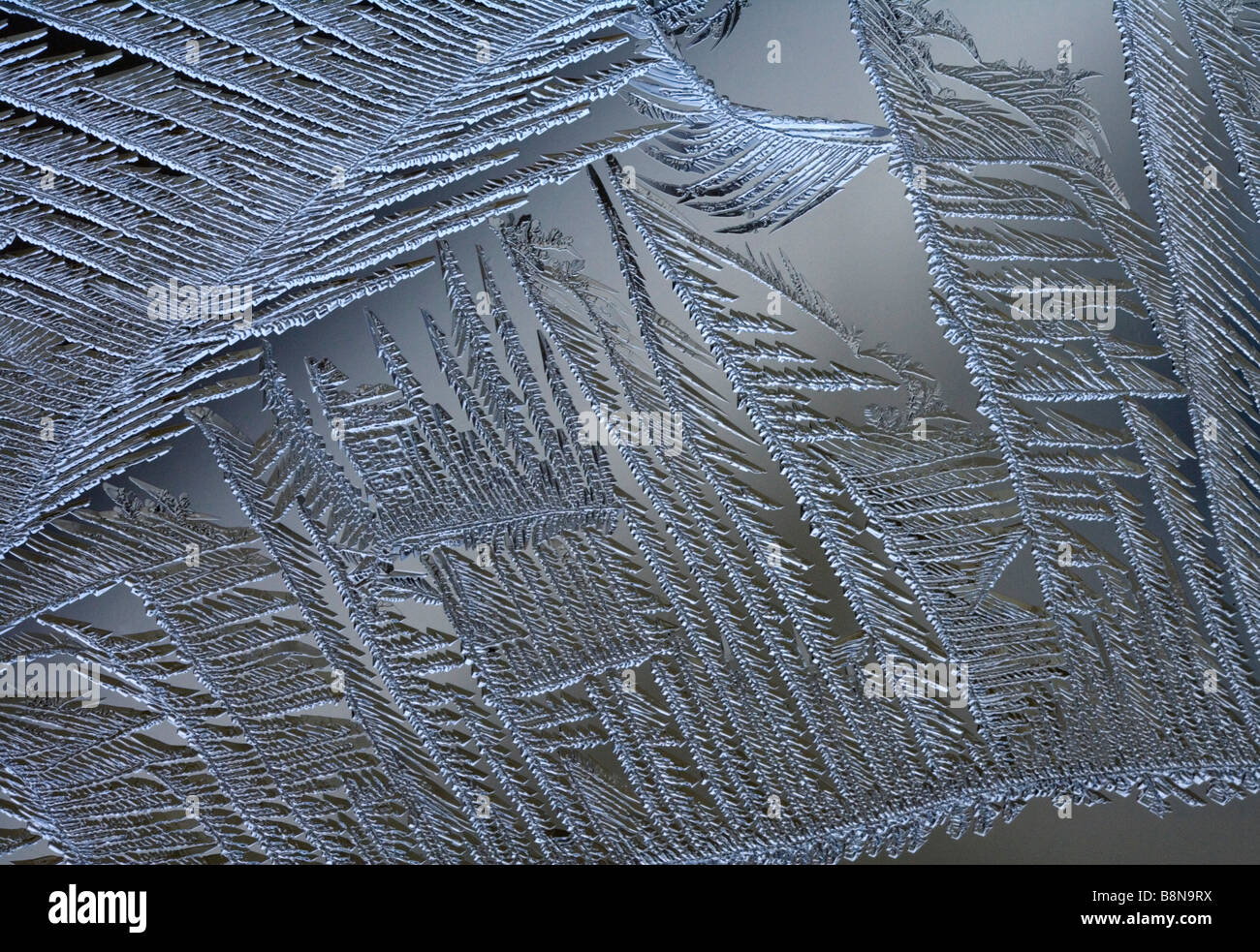 Frost forms on a frigid winter window Stock Photo - Alamy