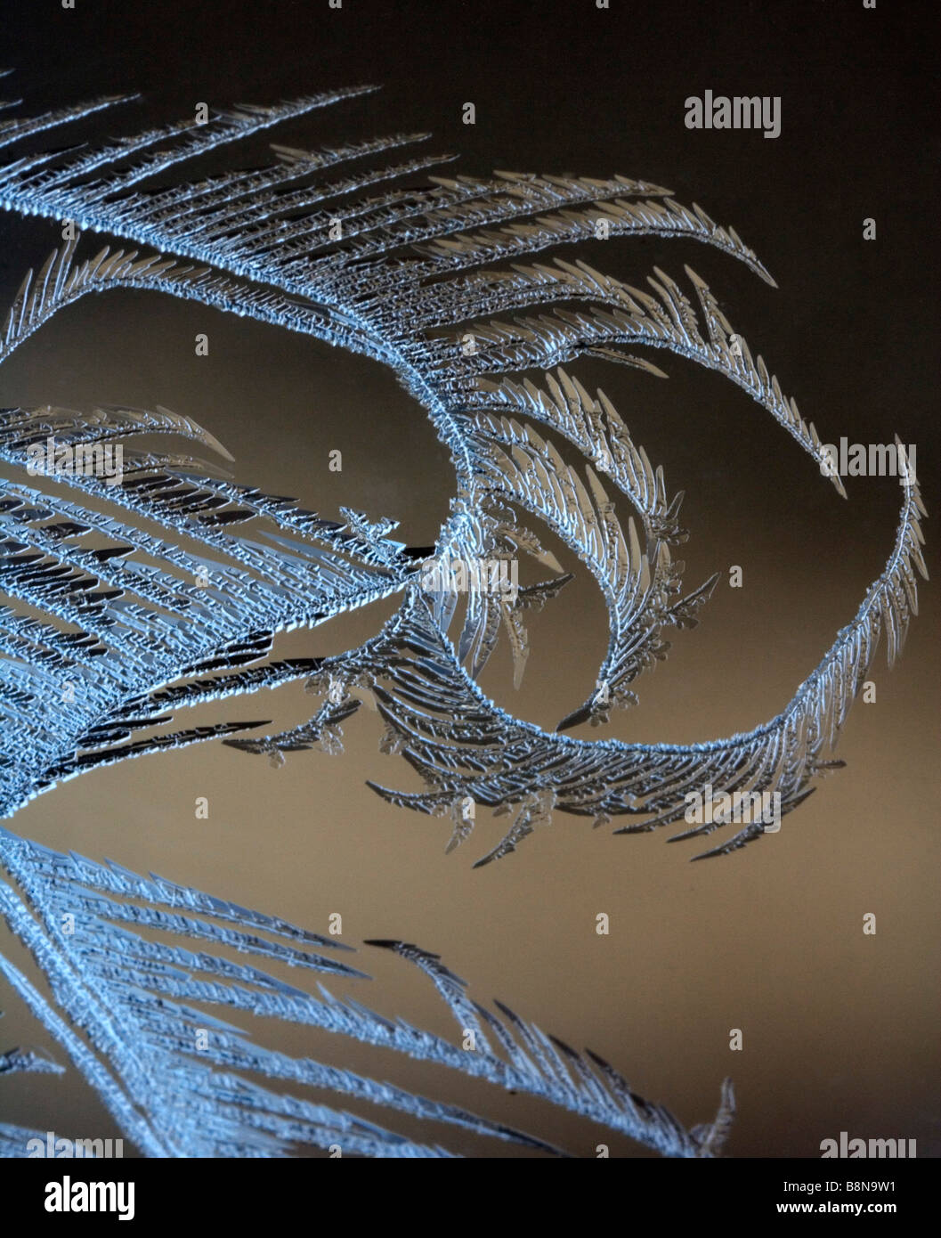Frost forms hi-res stock photography and images - Alamy