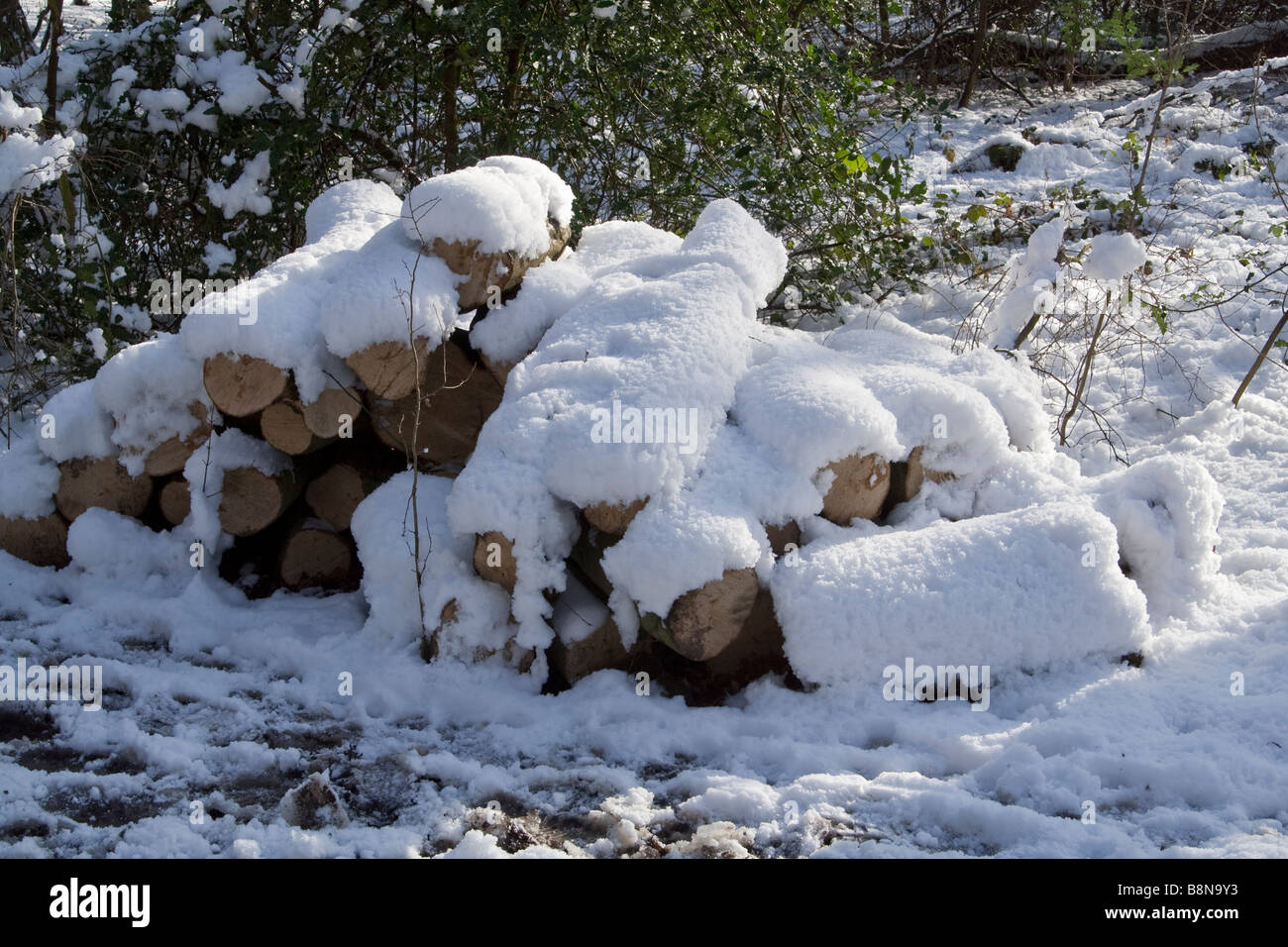 A pile of logs covered in snow Stock Photo - Alamy