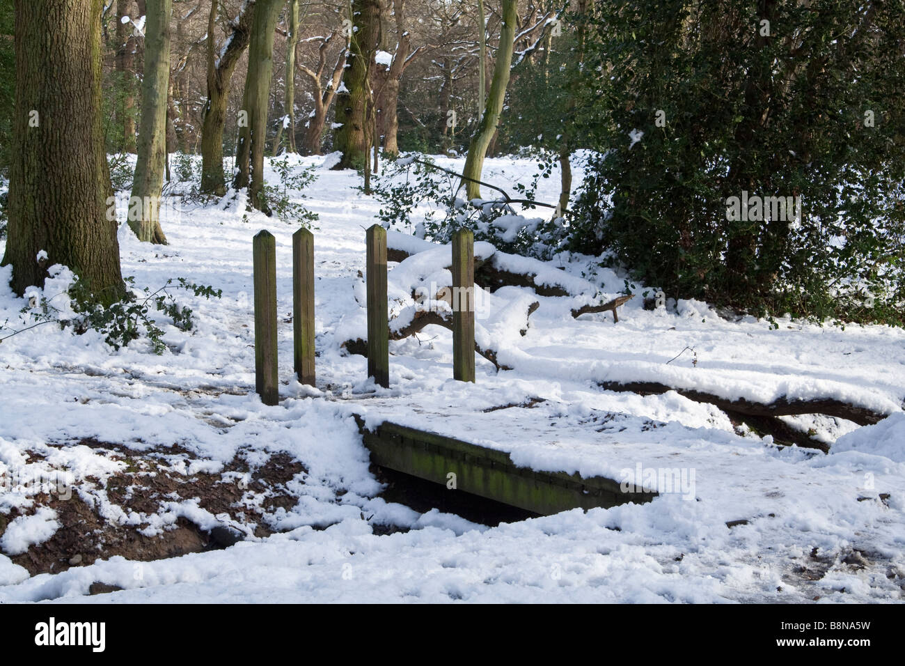A footbridge covered in snow Stock Photo - Alamy