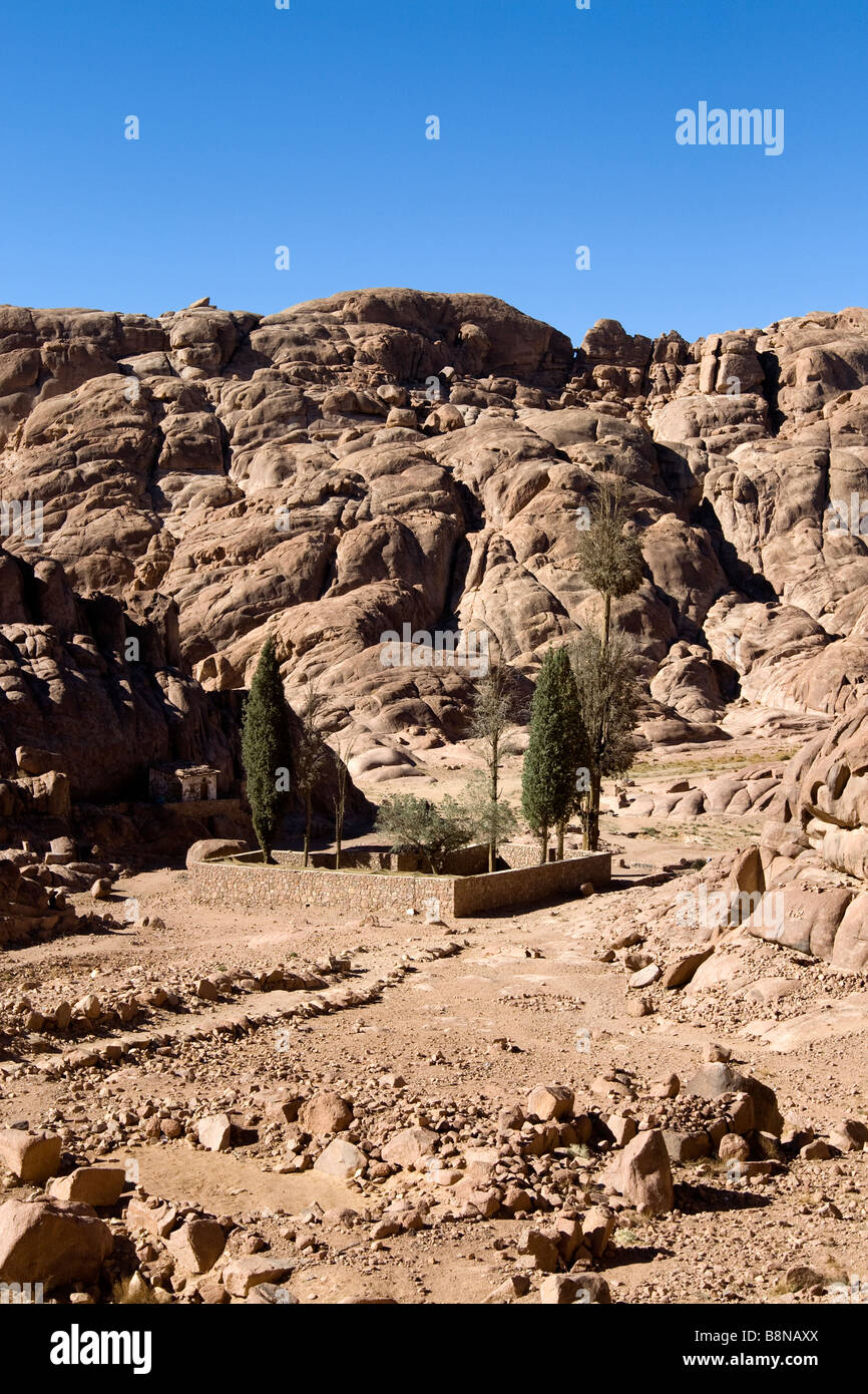 Sinai mountains trekking hi-res stock photography and images - Alamy