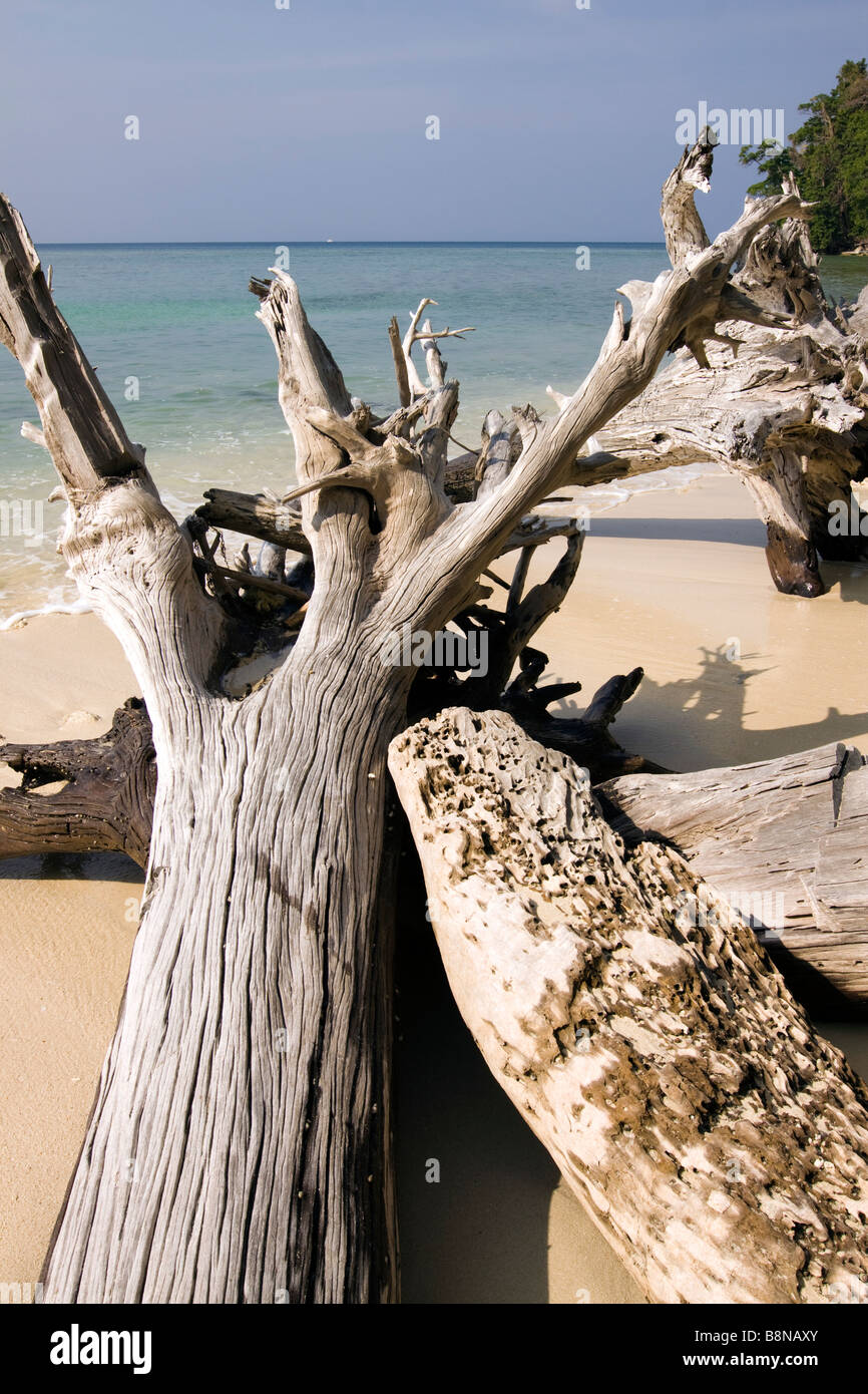 India Andaman and Nicobar Havelock island Radha Nagar beach sun ...