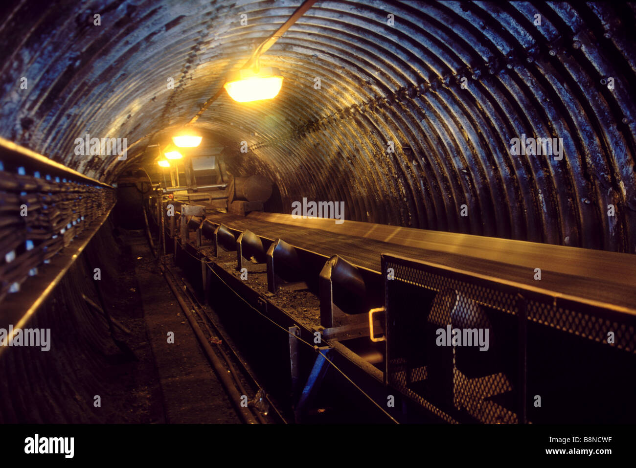 Morupule hi-res stock photography and images - Alamy