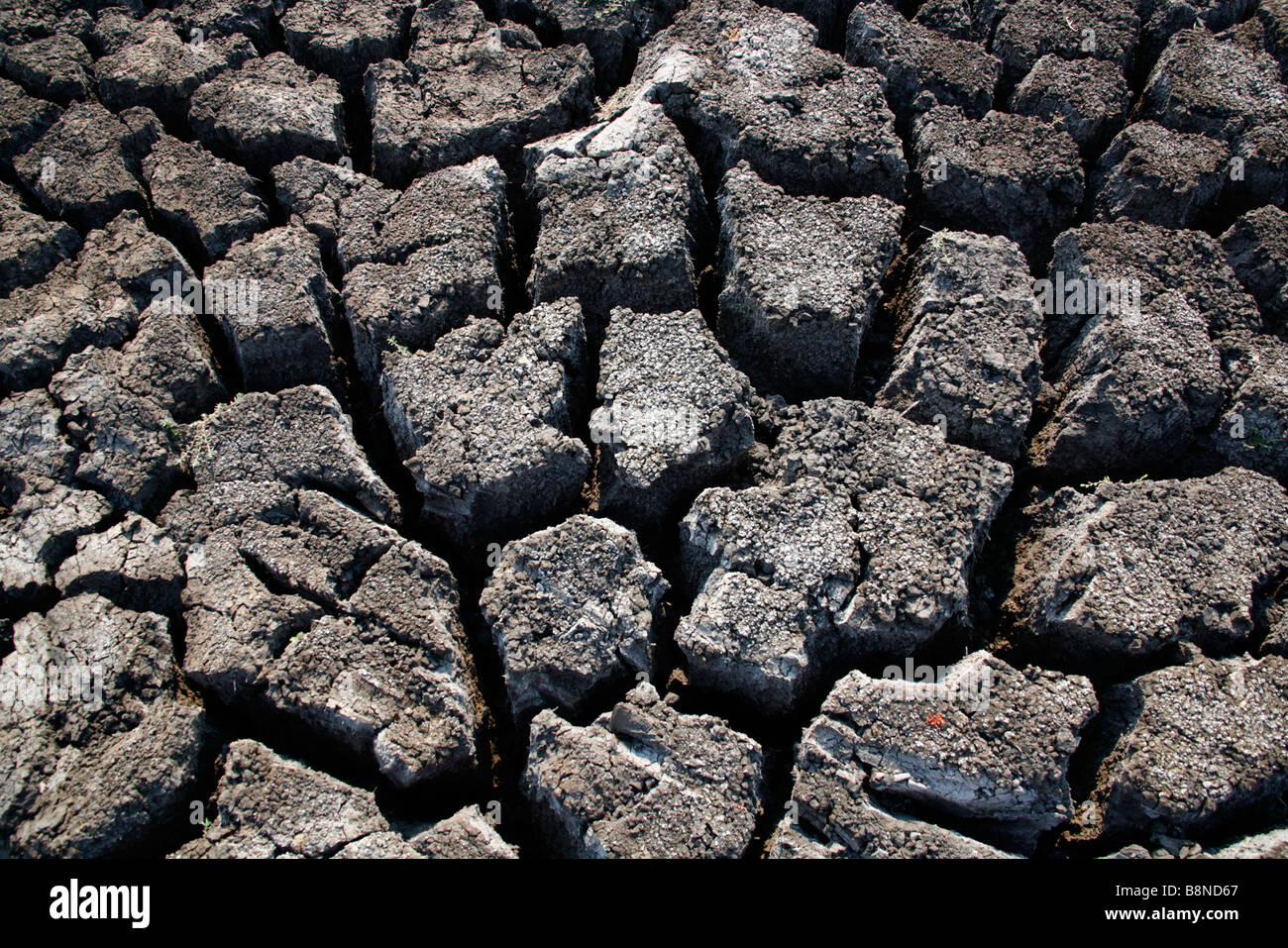 Vertisol hi-res stock photography and images - Alamy