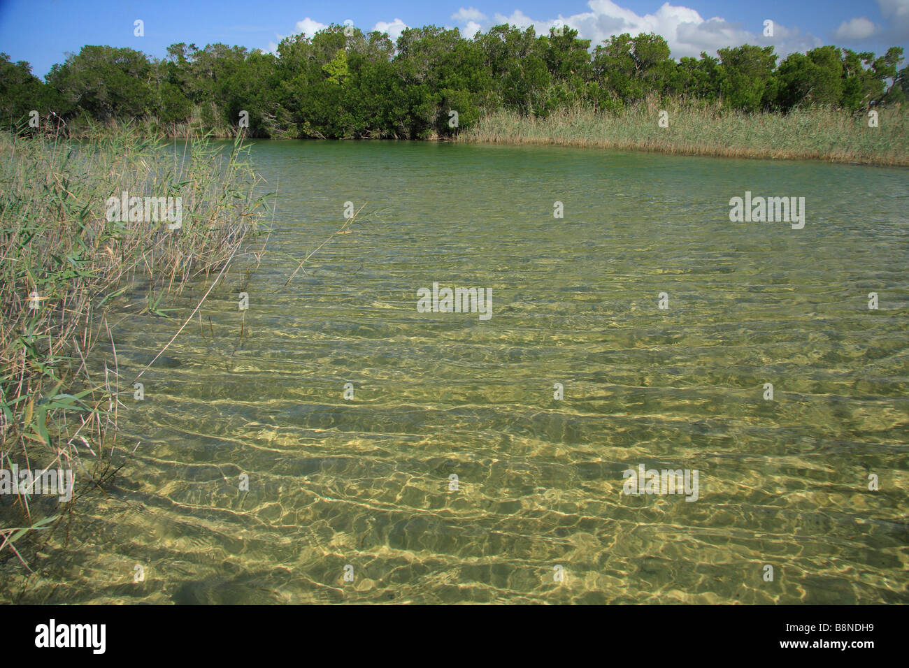 Clear rivers hi-res stock photography and images - Alamy