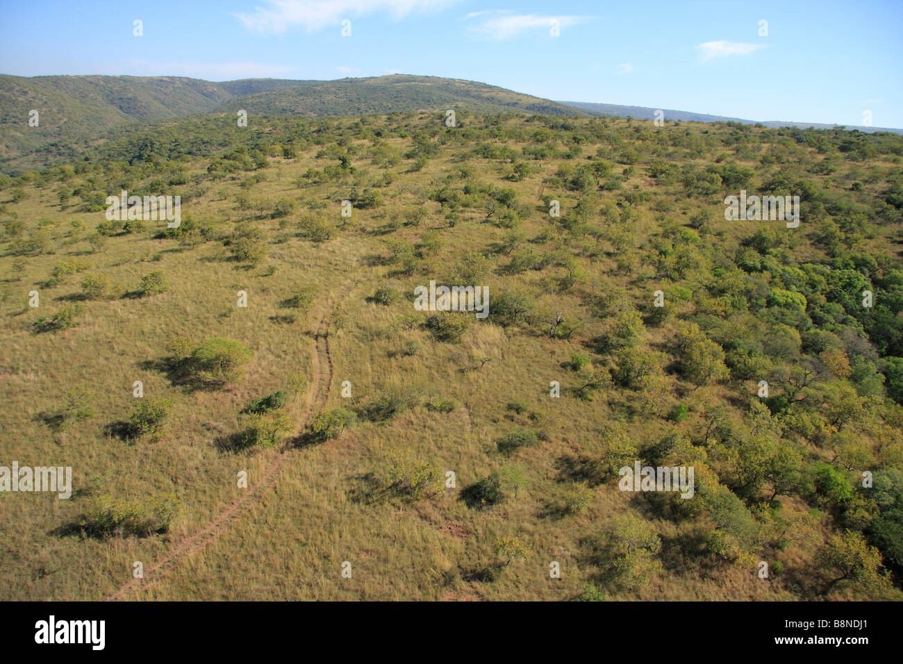 Aerial view of Usutu gorge area Stock Photo - Alamy