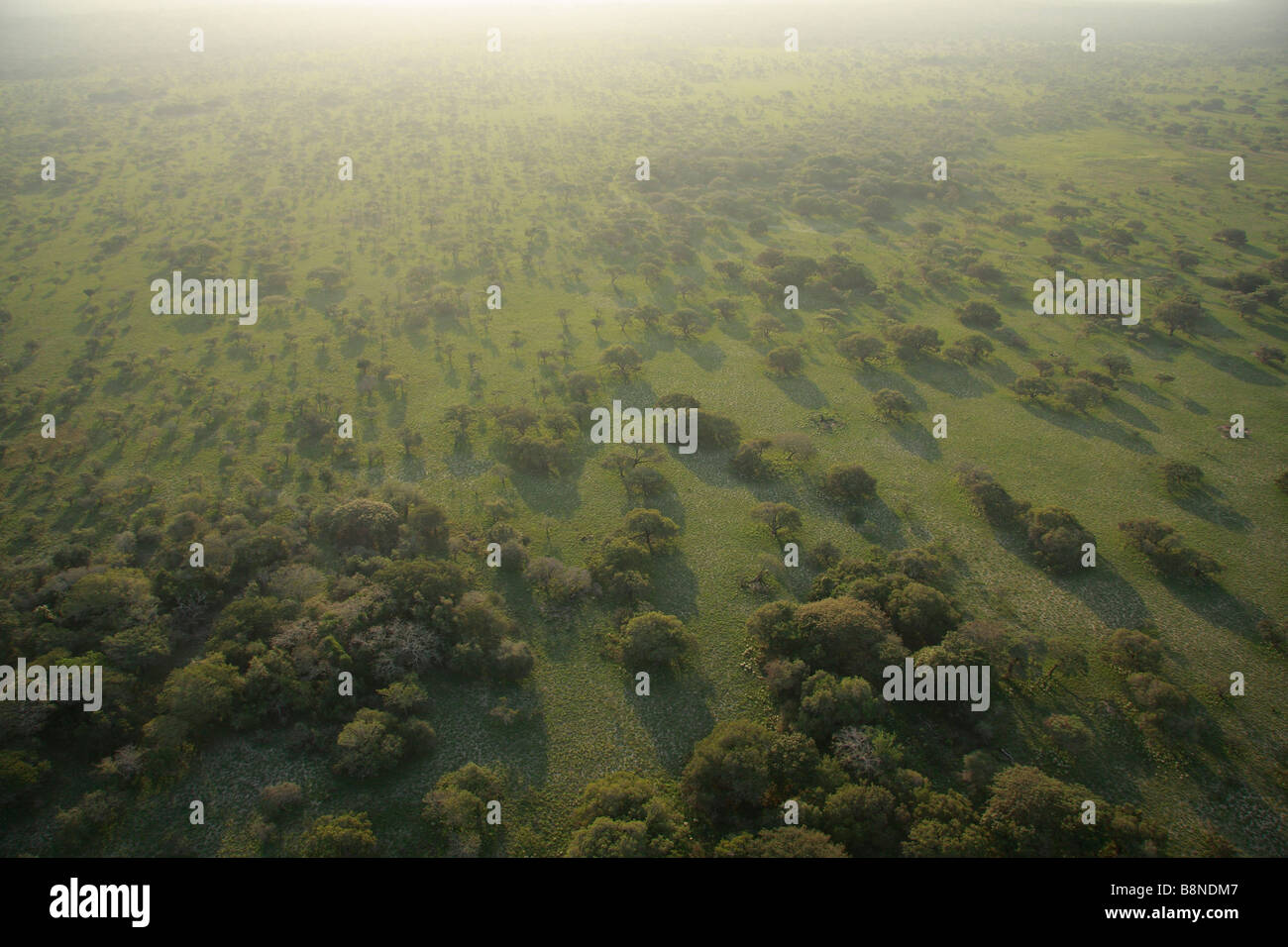 Aerial view of Futi-Tembe Transfrontier area Stock Photo - Alamy