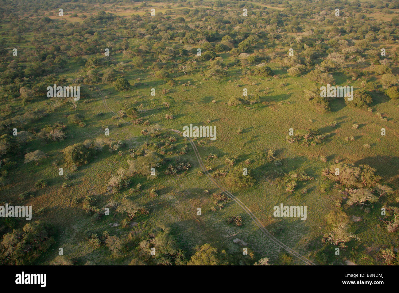 Aerial view of Futi-Tembe Transfrontier area Stock Photo - Alamy