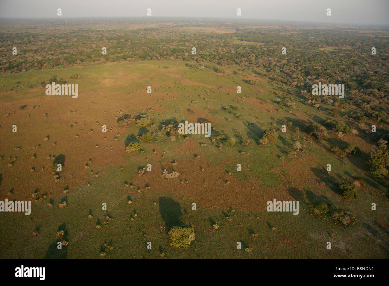 Tembe hi-res stock photography and images - Alamy