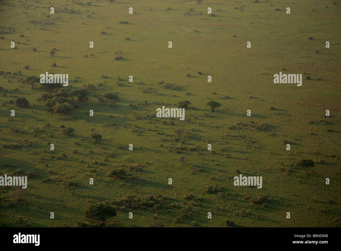 Aerial view of landscape in the Futi-Tembe Transfrontier area Stock ...