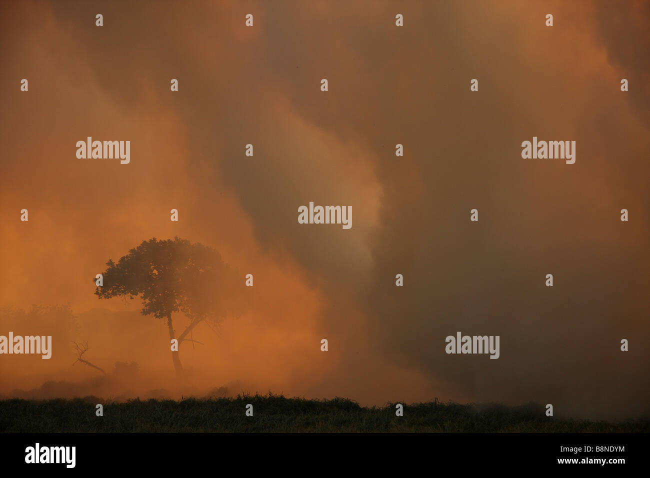 Thick smoke hi-res stock photography and images - Alamy