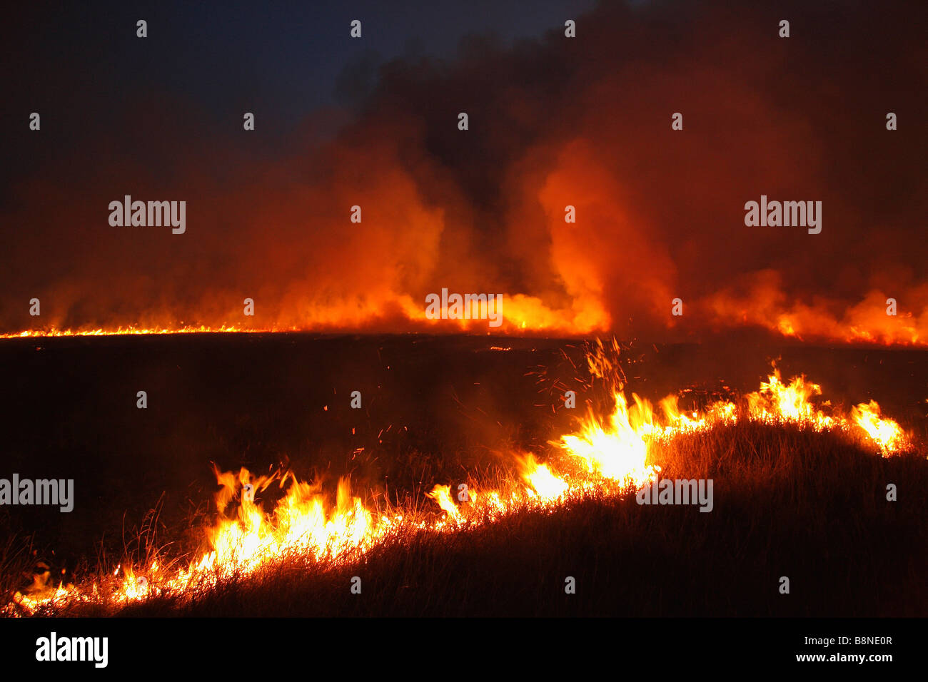 Raging veld fire in Tembe Elephant Park Stock Photo - Alamy
