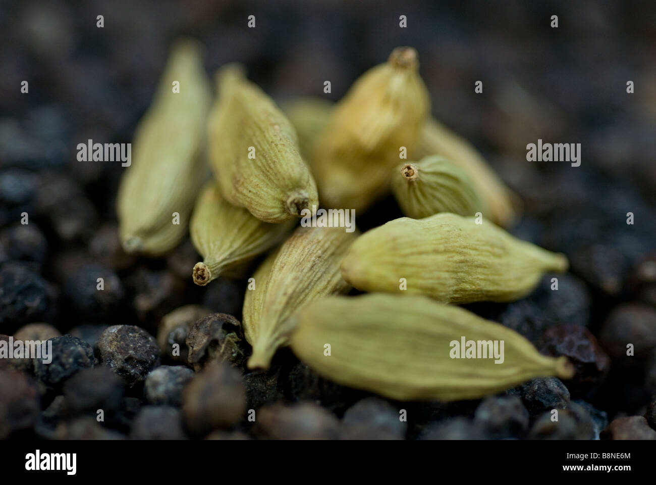 Cardamom pods on a bed of black pepper close up in Spice garden Sri ...