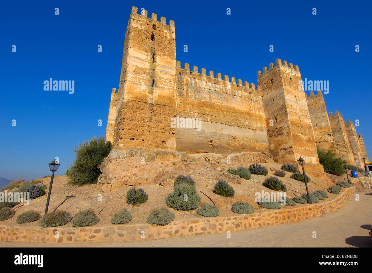 Encina trees hi-res stock photography and images - Alamy