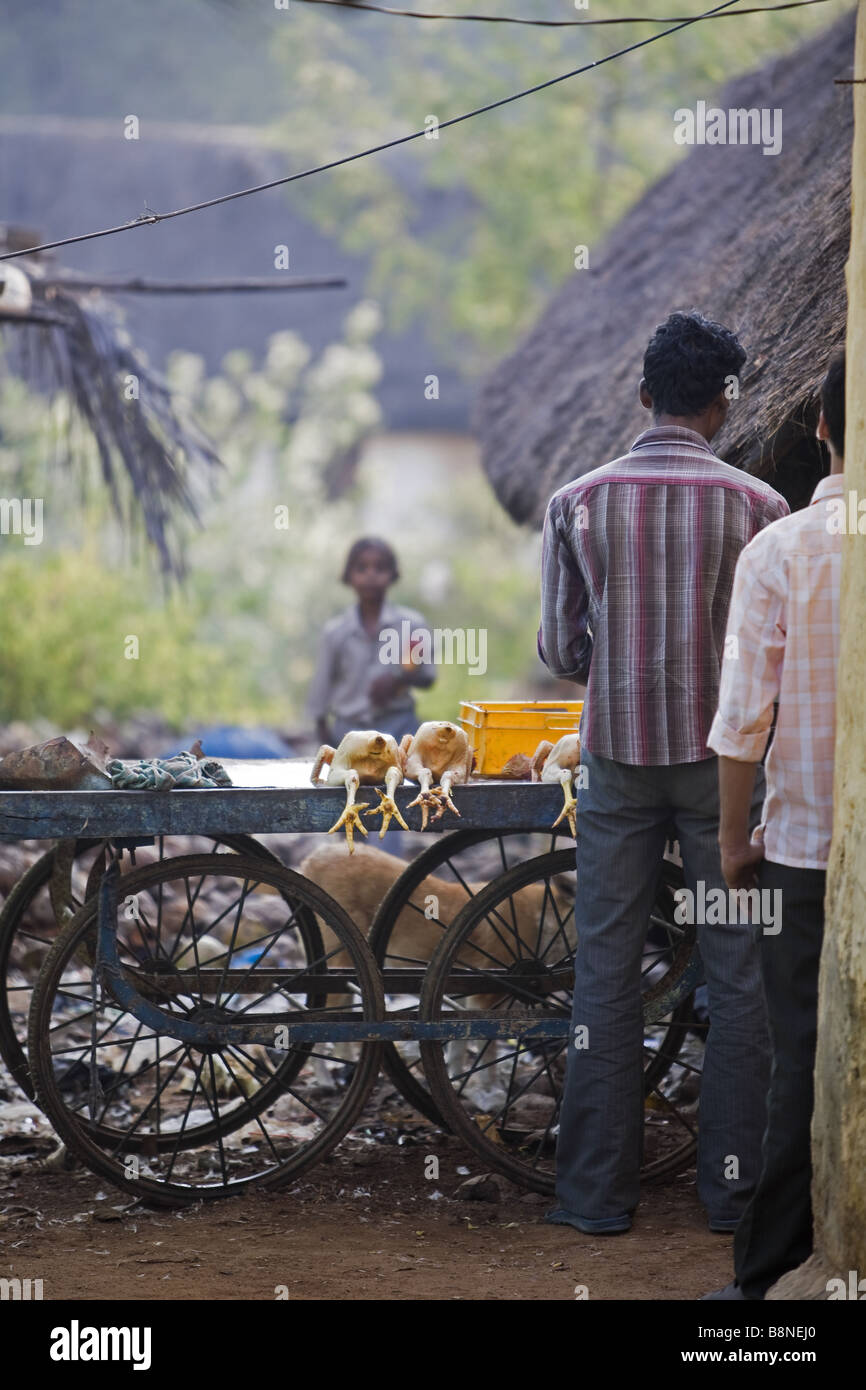 Indian man preparing chickens to eat Stock Photo - Alamy