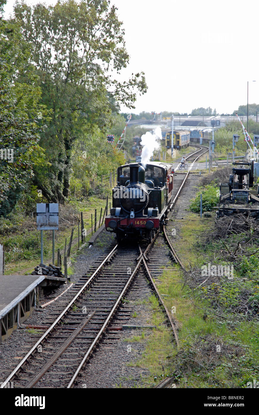 Steam locomotive 1450 in GWR colours on Forest of Dean railway pulling ...
