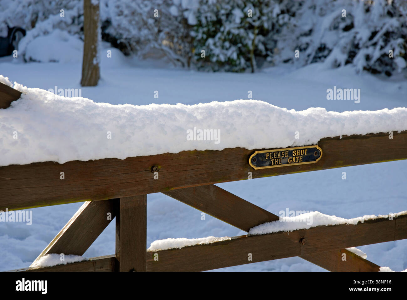 Fresh snow on top bar of gate which has brass sign ' Please shut the ...