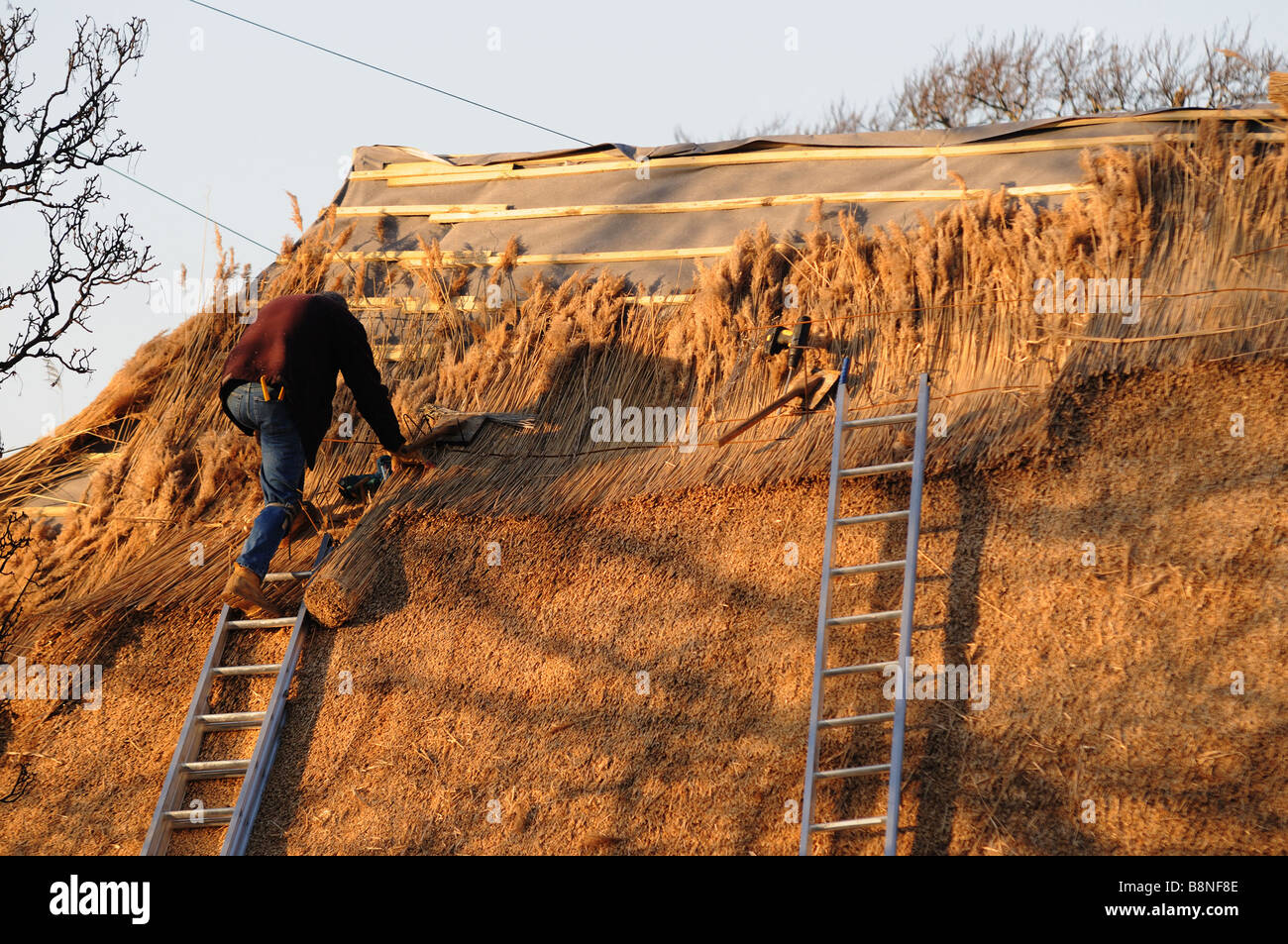 Thatching tools hi-res stock photography and images - Alamy