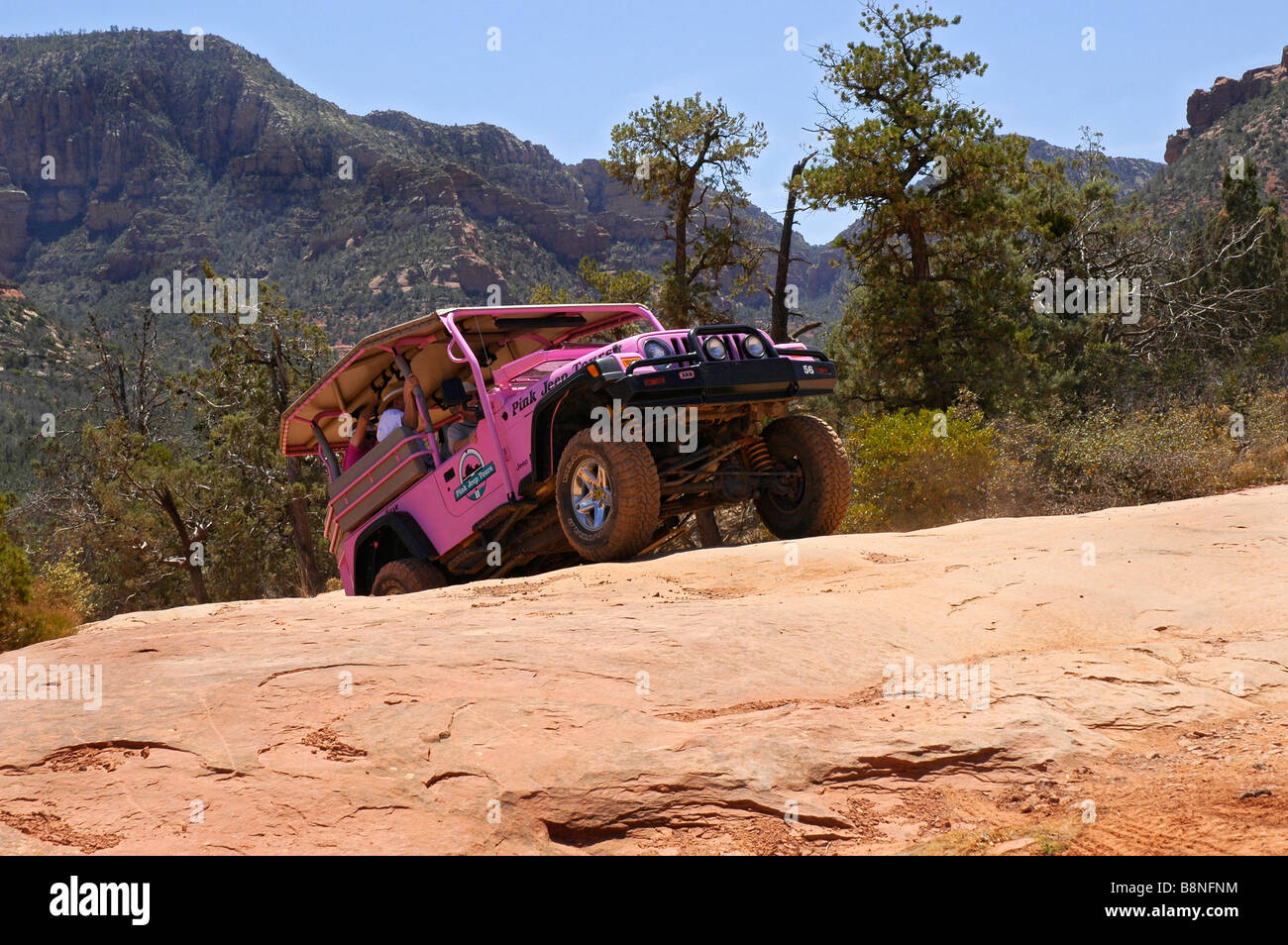Pink Jeep tours in wilderness area near Sedona AZ Stock Photo - Alamy