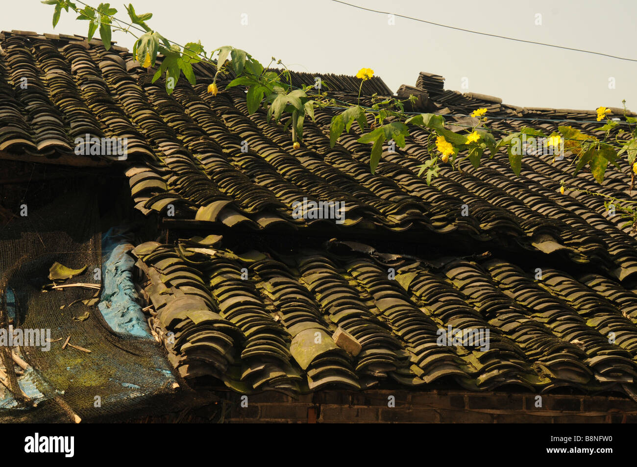 China Xian Shaanxi Moslem Quarters Old mud brick house Stock Photo - Alamy