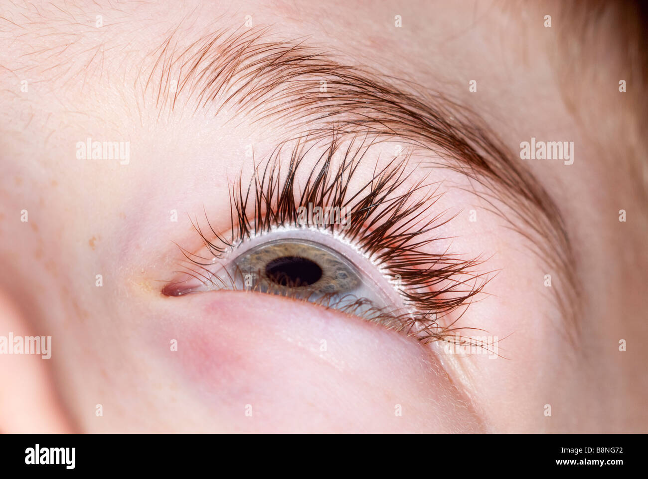 A close up of a young childs eyelash Stock Photo - Alamy