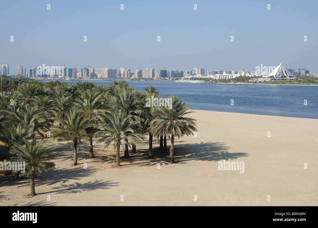 Palm Trees on the Beach at Dubai Creek Stock Photo - Alamy