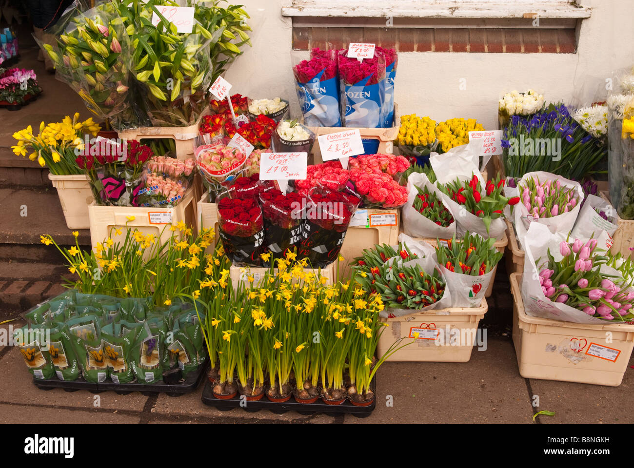 Great british florist shop hi-res stock photography and images - Alamy